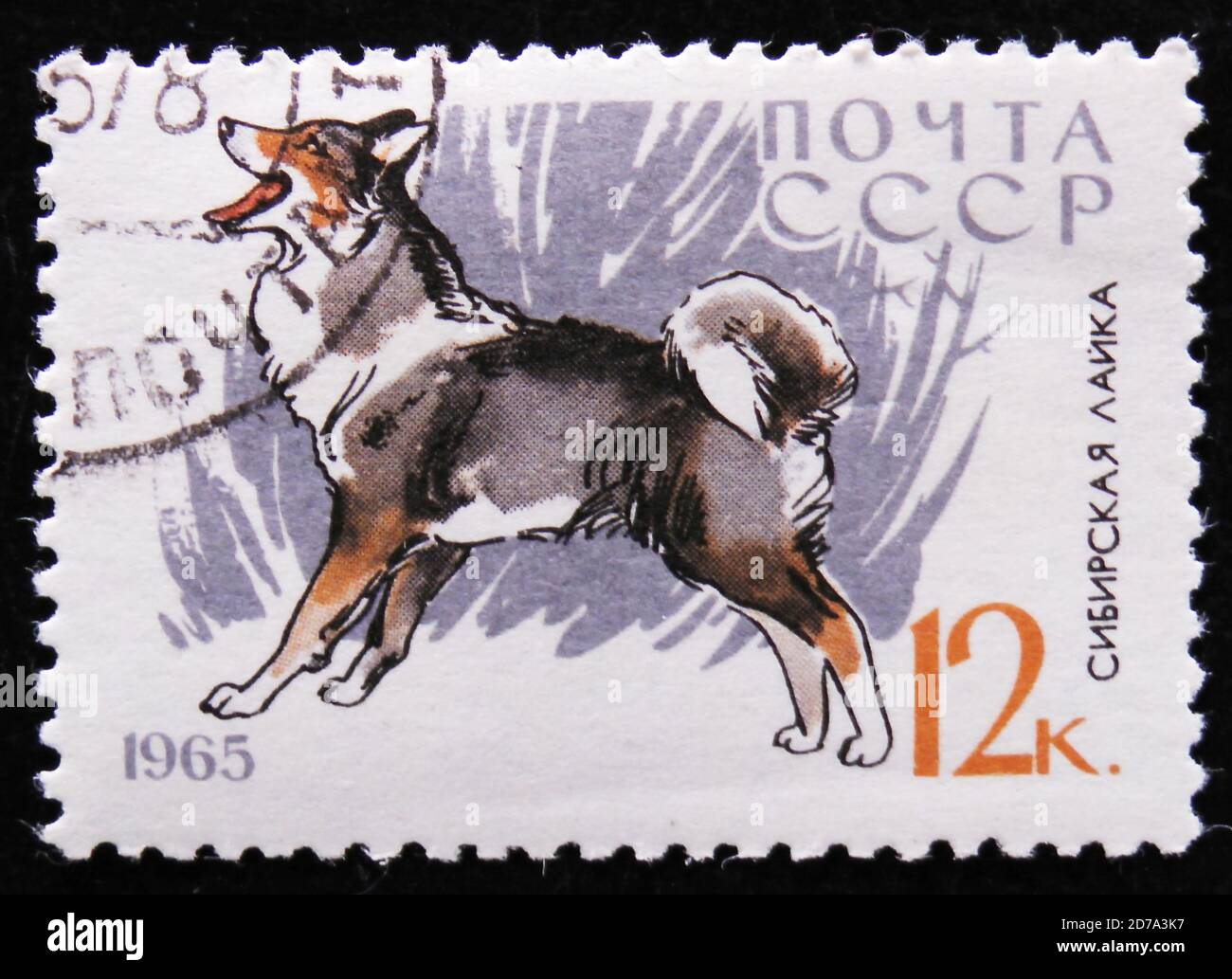 Siberian husky postage stamp ussr hi-res stock photography and images ...