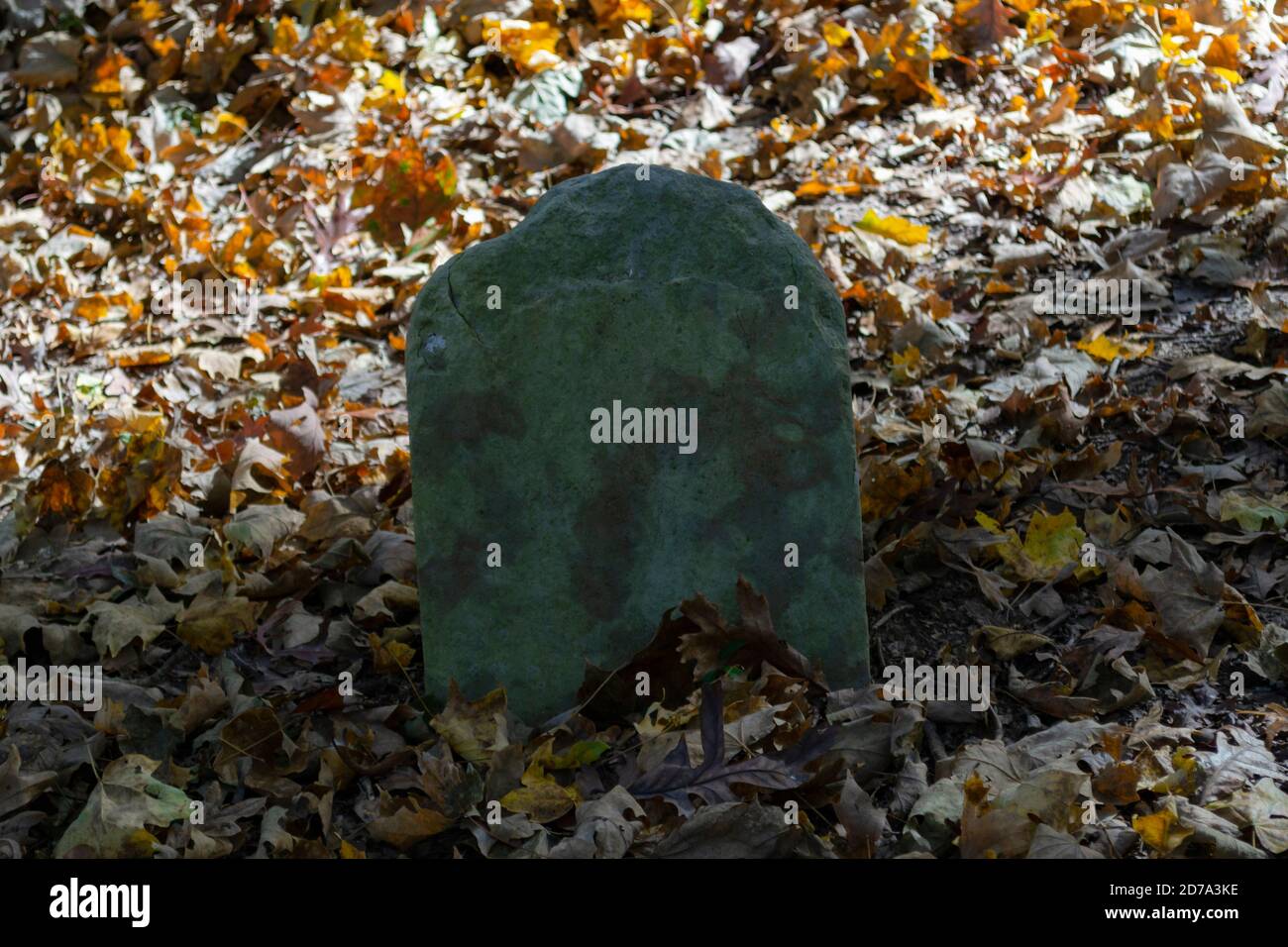 Unmarked tombstone in a small country graveyard in the woods Stock ...