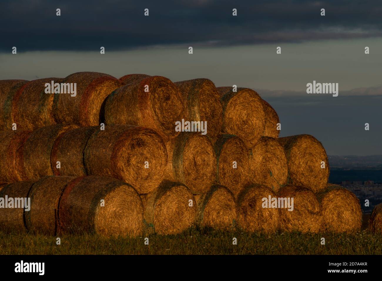 Hay Balls High Resolution Stock Photography and Images - Alamy