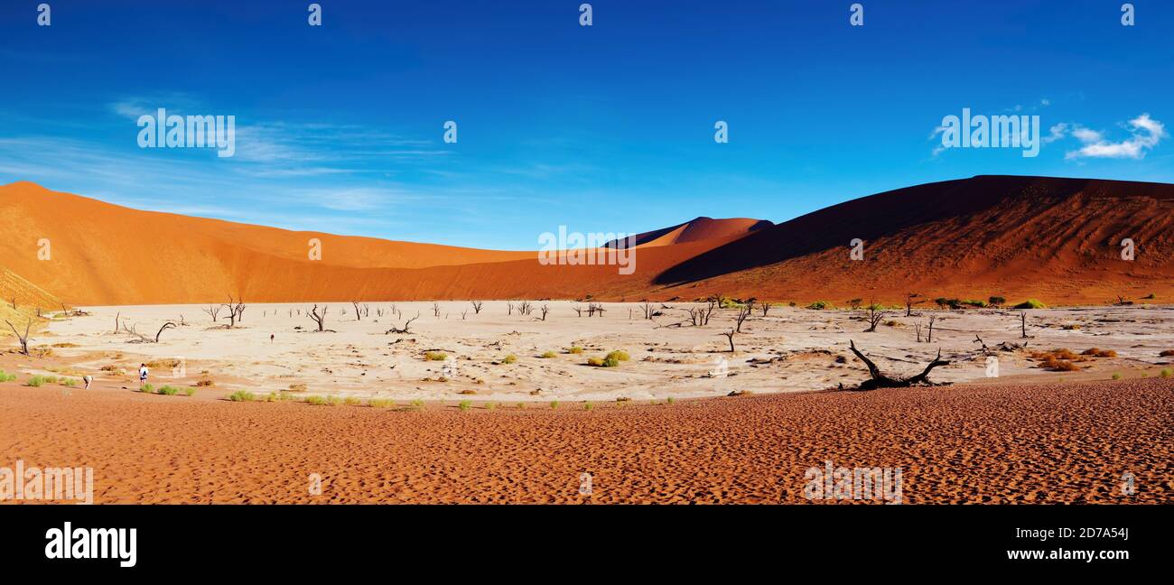 Dead trees in Dead Vlei - Sossusvlei, Namib Desert, Namibia Stock Photo ...