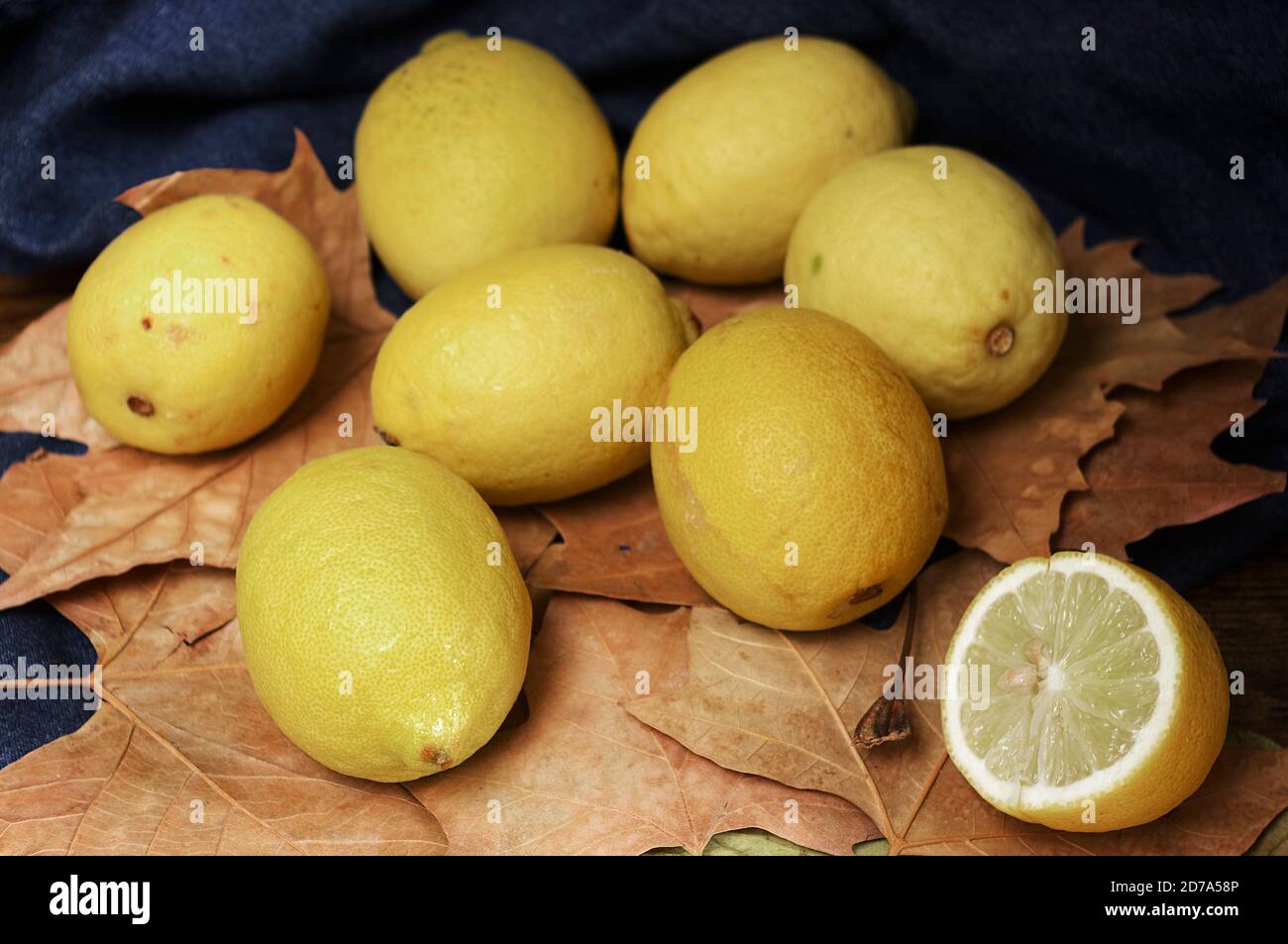Ecological yellow lemons and recently harvested from the Valencian ...