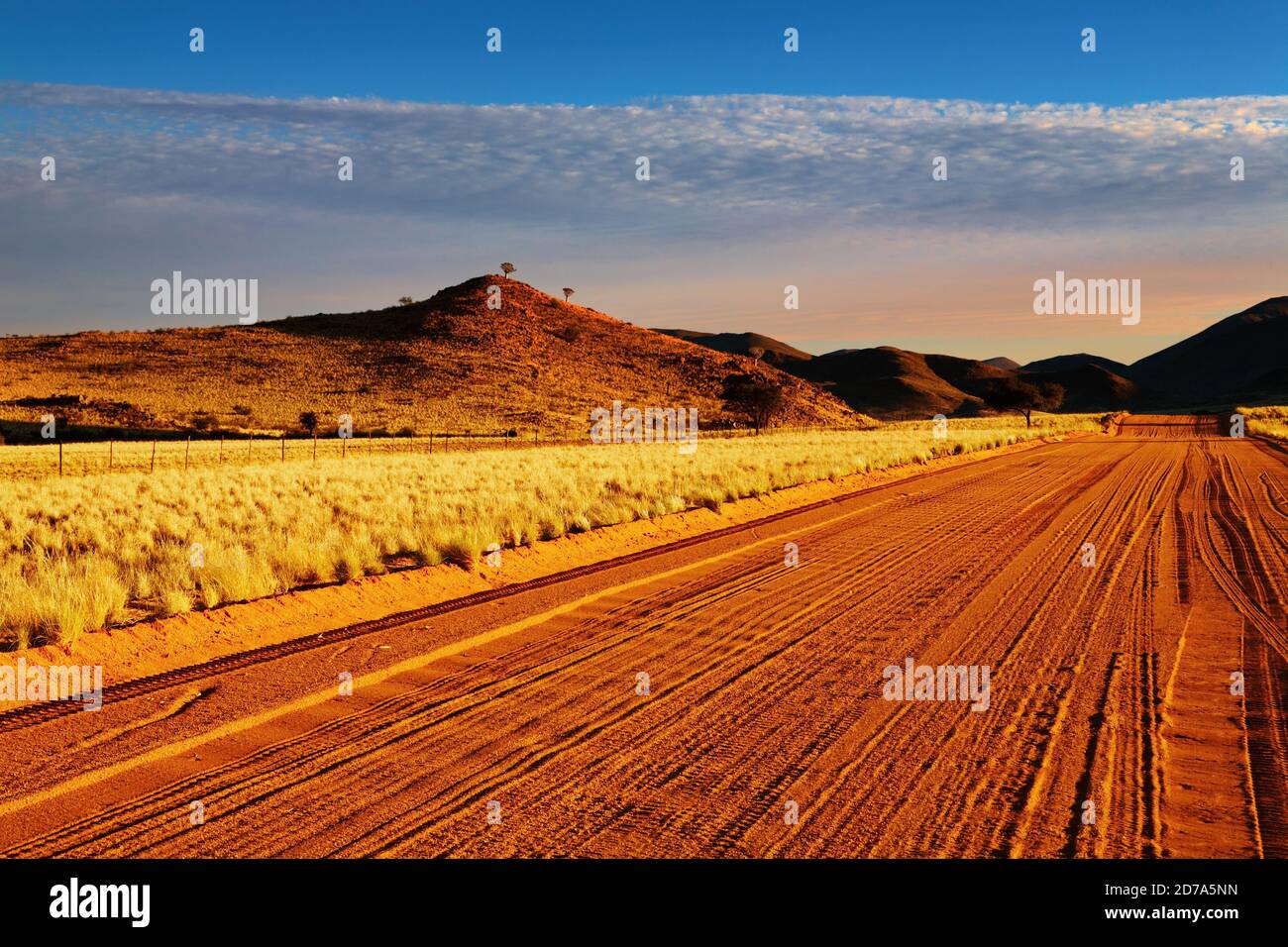 Road in Kalahari Desert at sunset, Namibia Stock Photo - Alamy