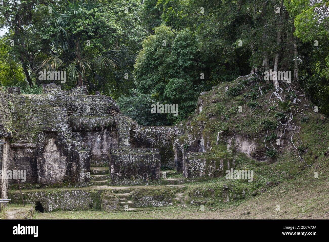 Mayan temple pyramids archeological excavation. Tikal, Guatemala Stock ...
