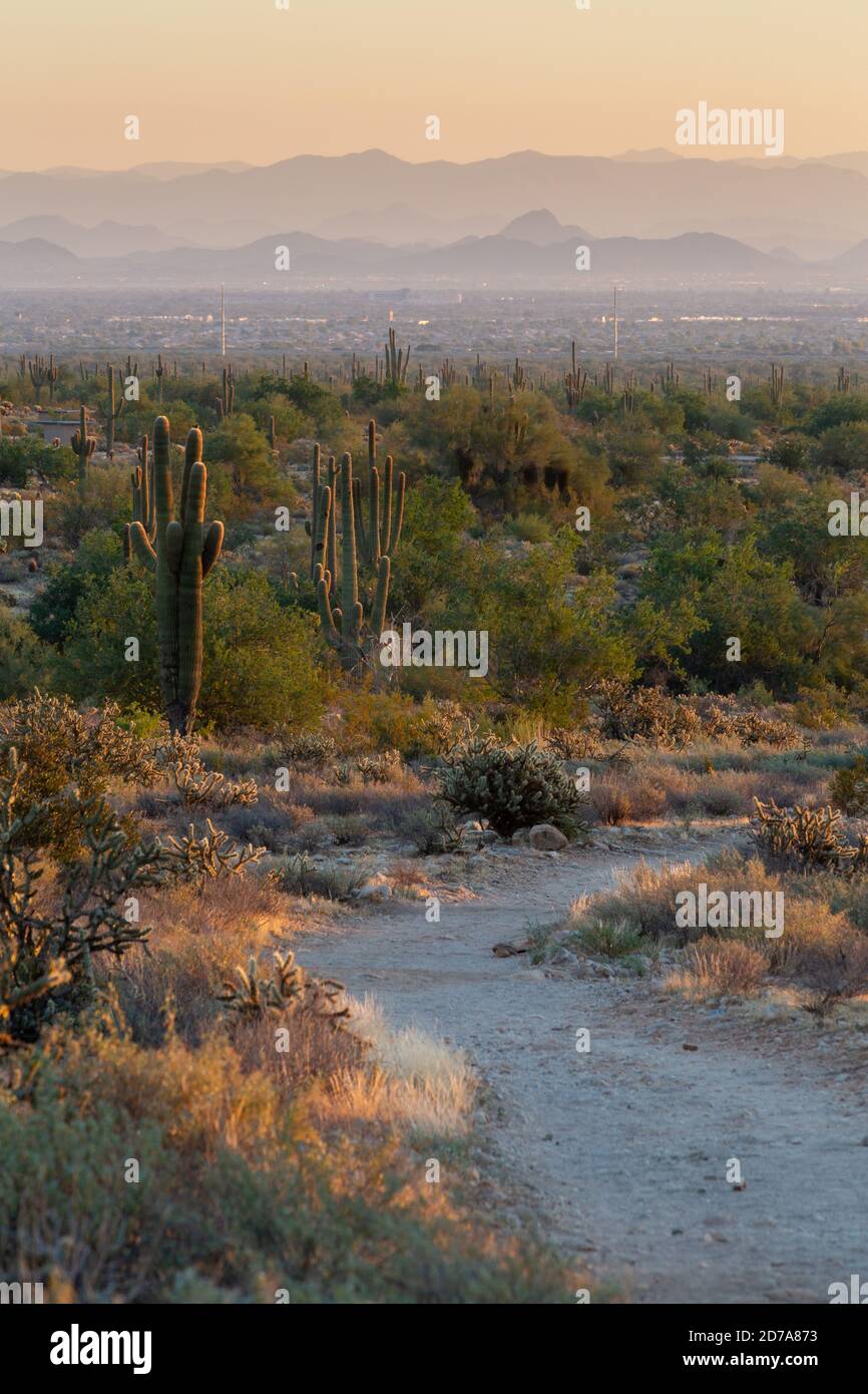 The city of Phoenix spreading out in the valley beyond the Waterfall ...