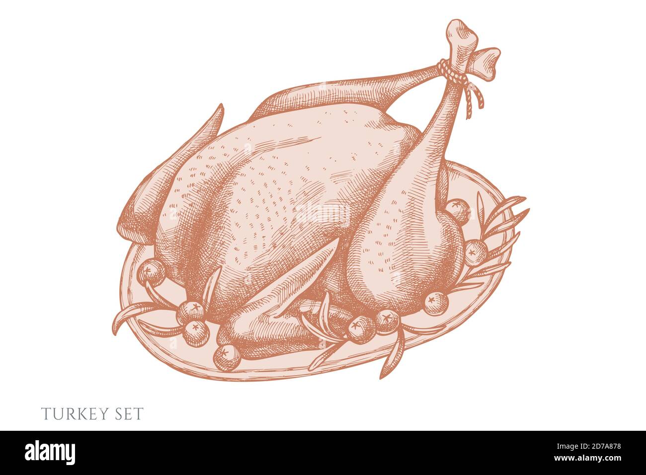 Vector set of hand drawn pastel turkey Stock Vector Image & Art - Alamy