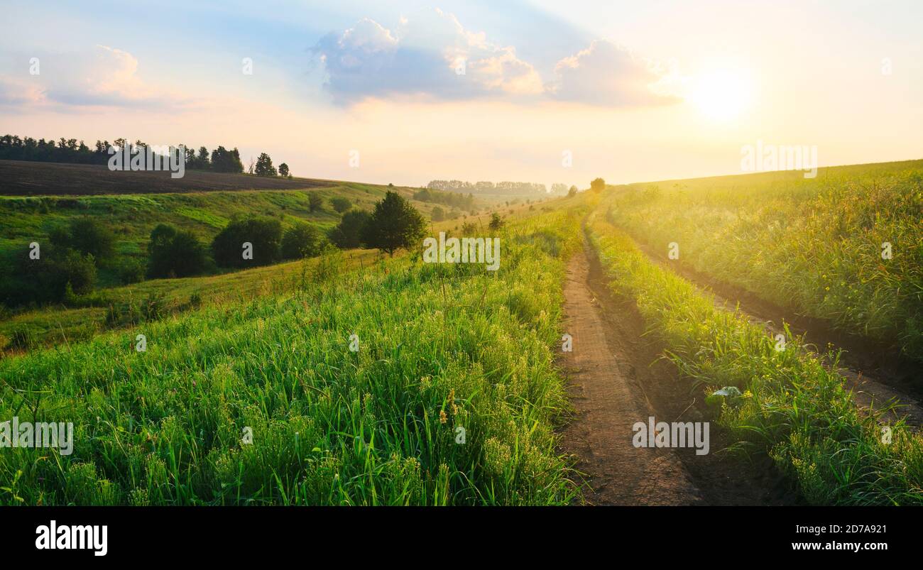 Sunny landscape road hi-res stock photography and images - Alamy