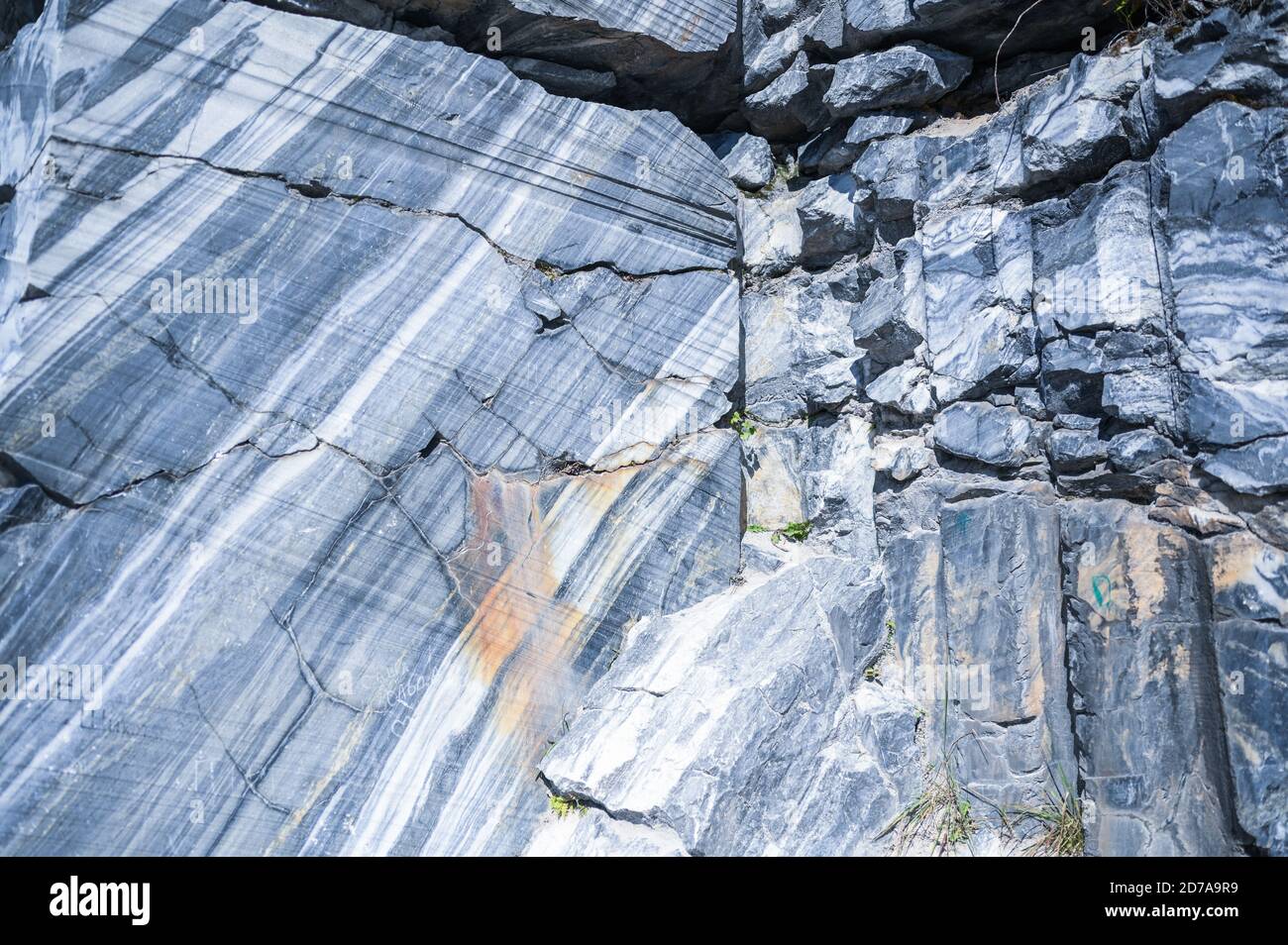 Rock cut raw surface of white and grey marble in the natural ...