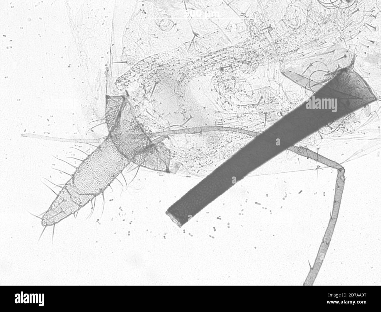 Taylorsville Black and White Stock Photos & Images - Alamy