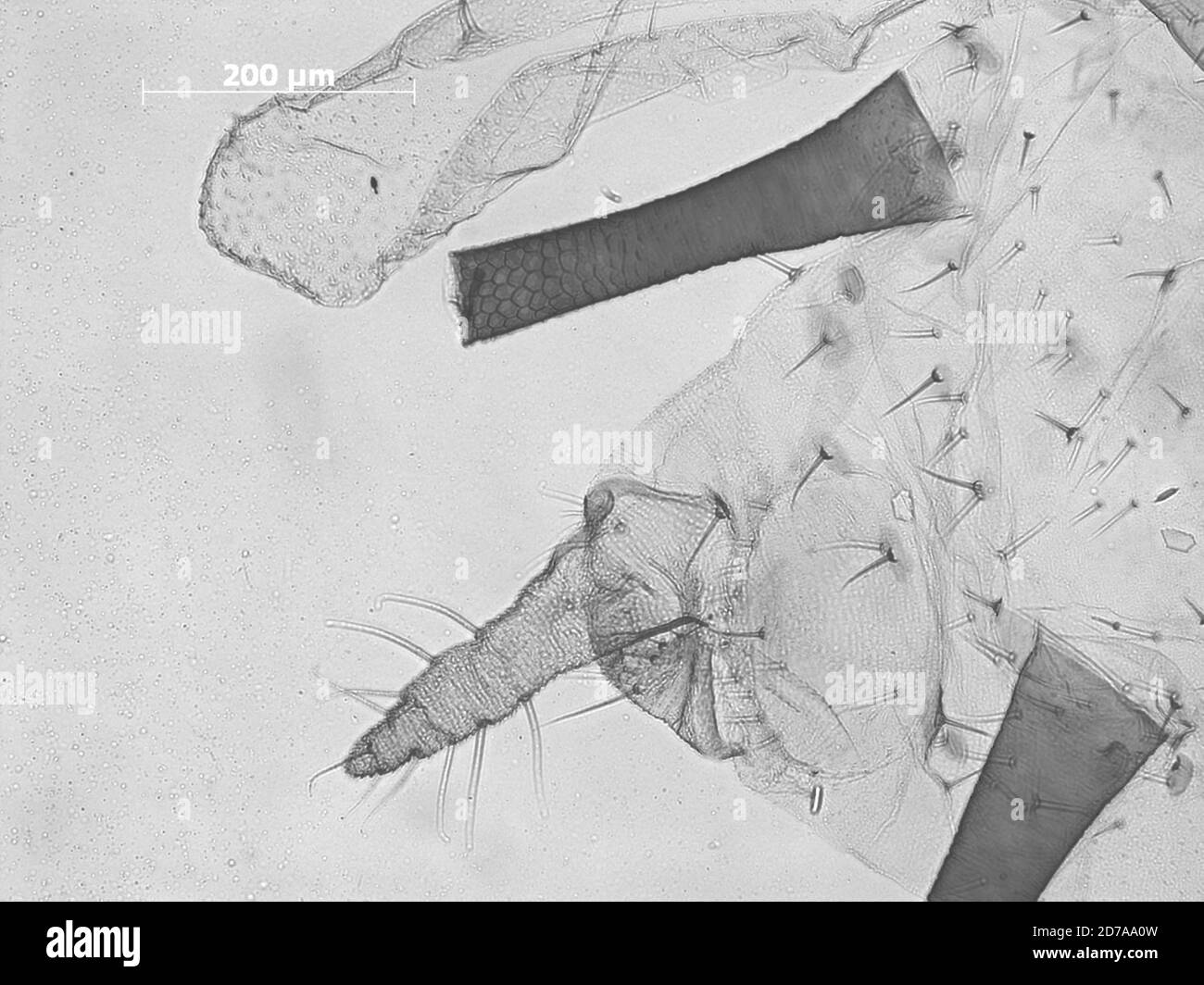 7 miles east of West End, Moore, North Carolina, United States ...