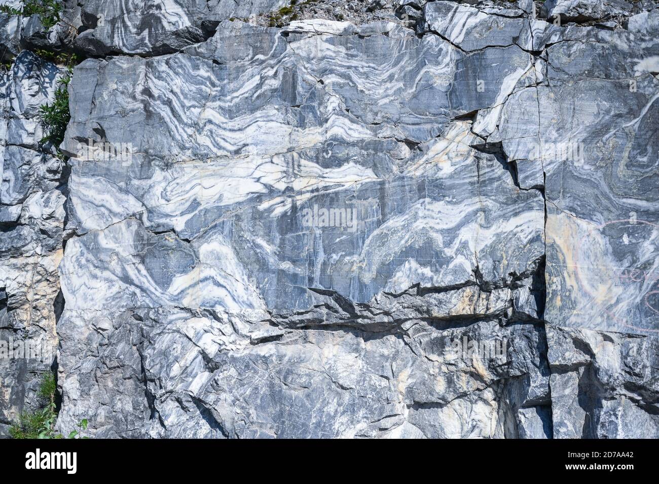 Rock cut raw surface of white and grey marble in the natural ...