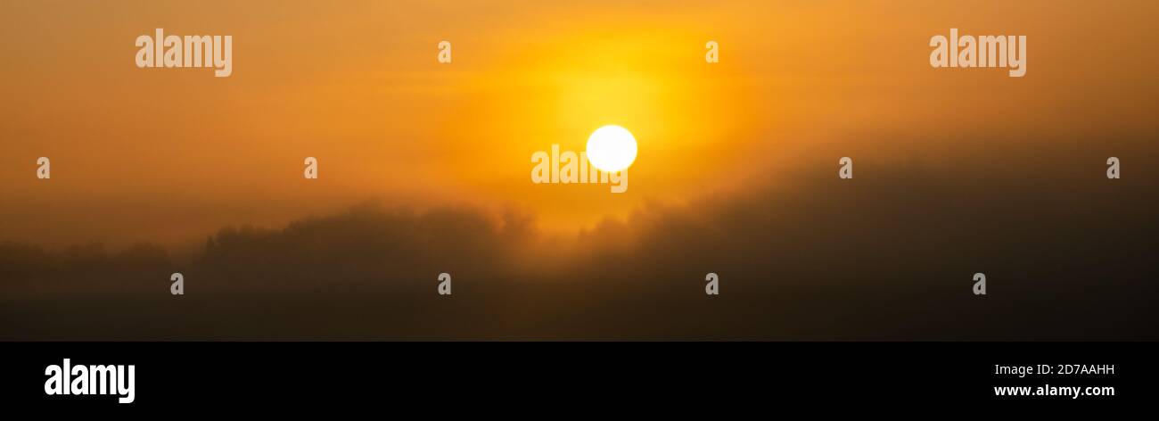 Beautiful view of rising sun shining through the foggy trees Stock ...