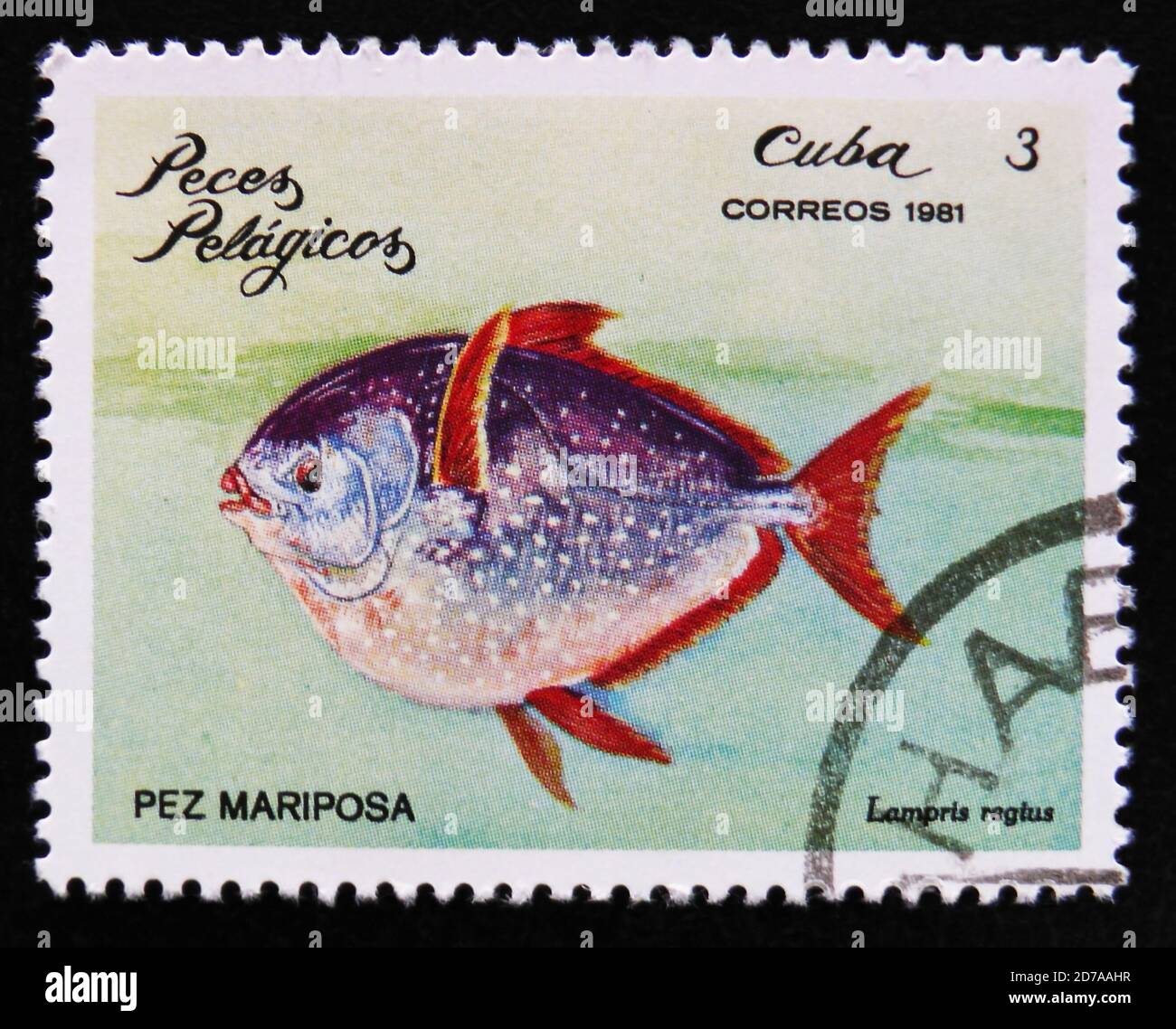 MOSCOW, RUSSIA - APRIL 2, 2017: A post stamp printed in Cuba, shows a ...