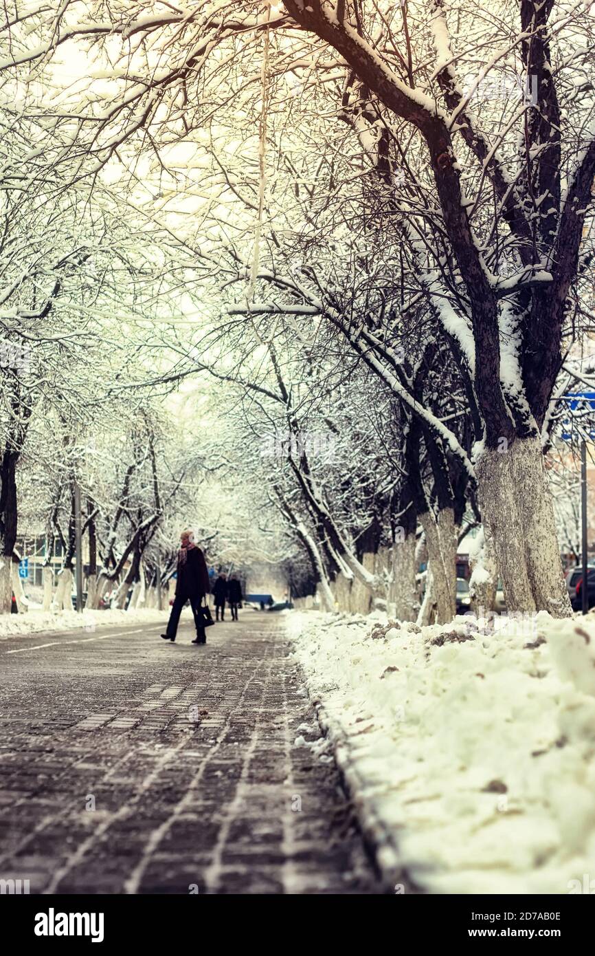 pedestrian pathway tree winter Stock Photo - Alamy