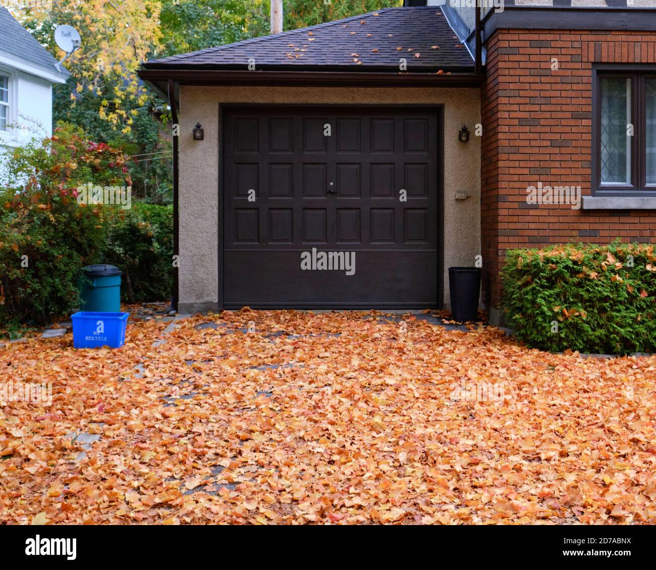 Driveway leading to garage covered in fallen orange tree leaves Stock ...