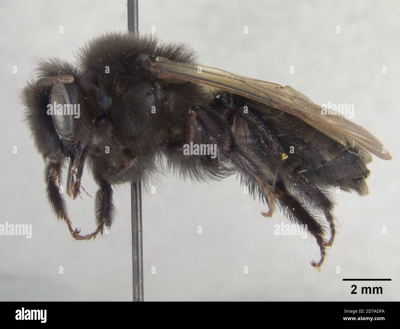 Bullfrog campground hi-res stock photography and images - Alamy