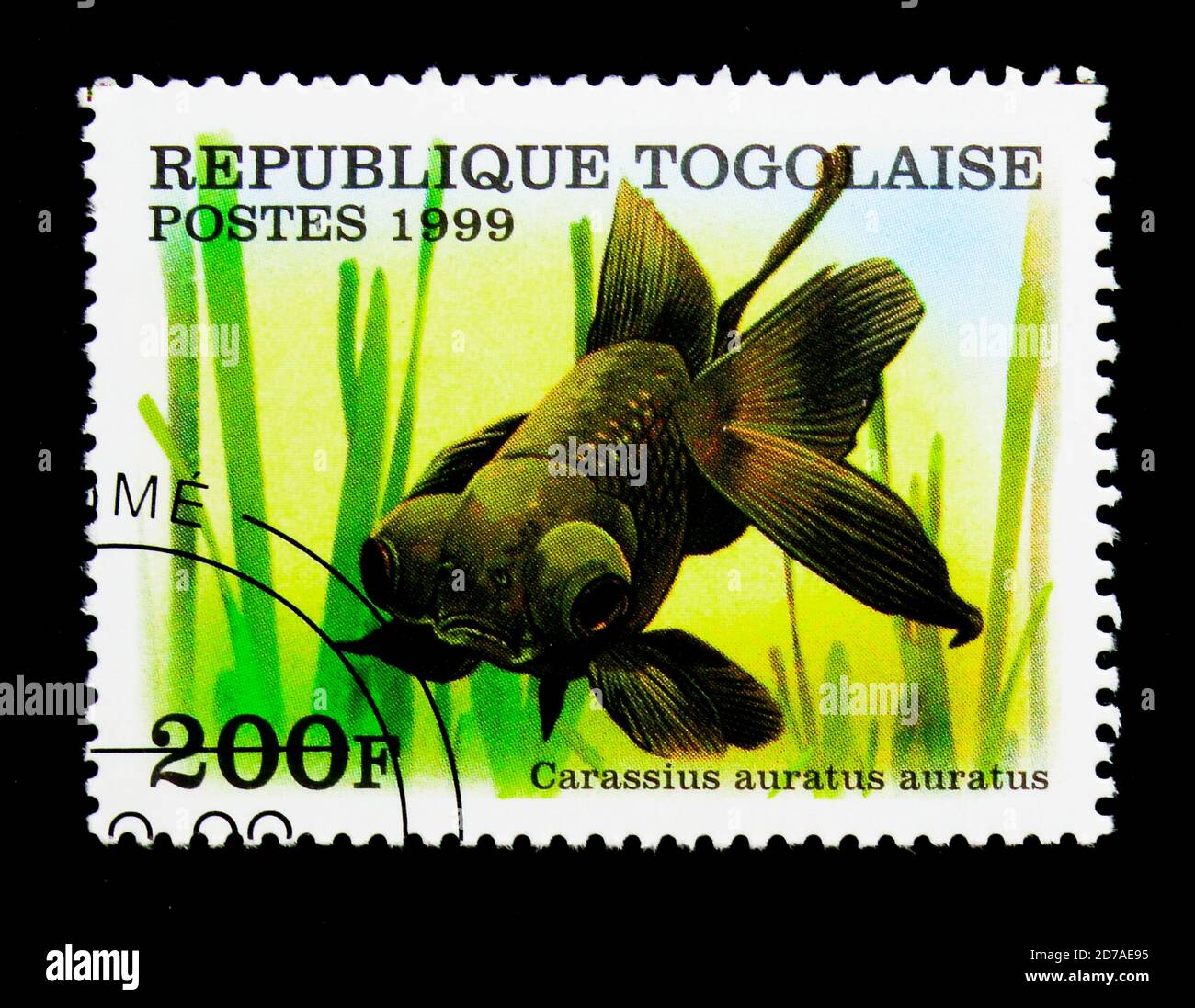 MOSCOW, RUSSIA - NOVEMBER 26, 2017: A stamp printed in Togo shows Black ...