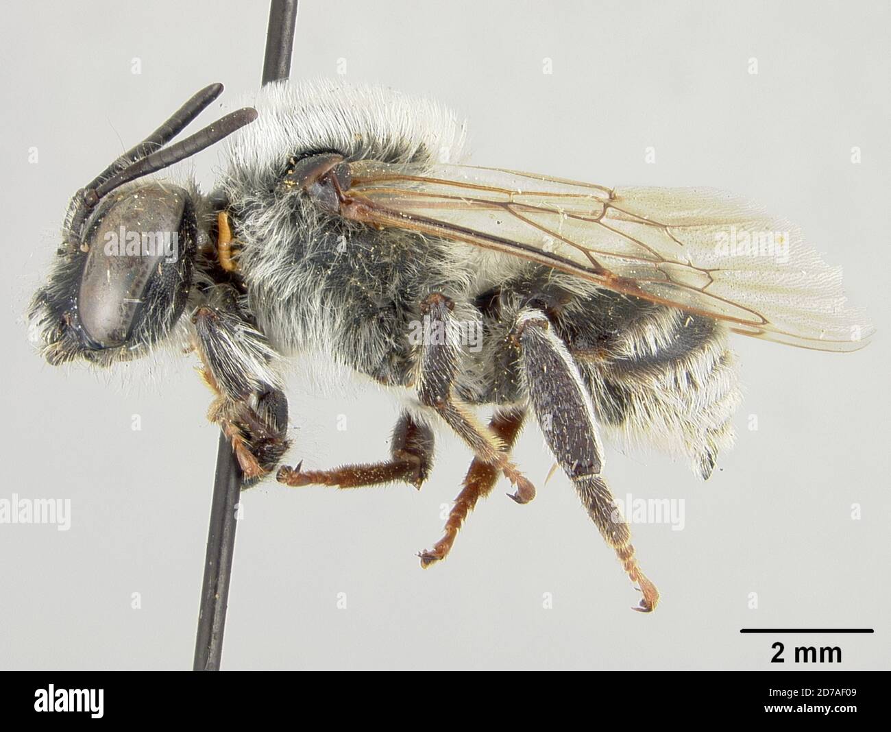 Ust baki siberia hi-res stock photography and images - Alamy