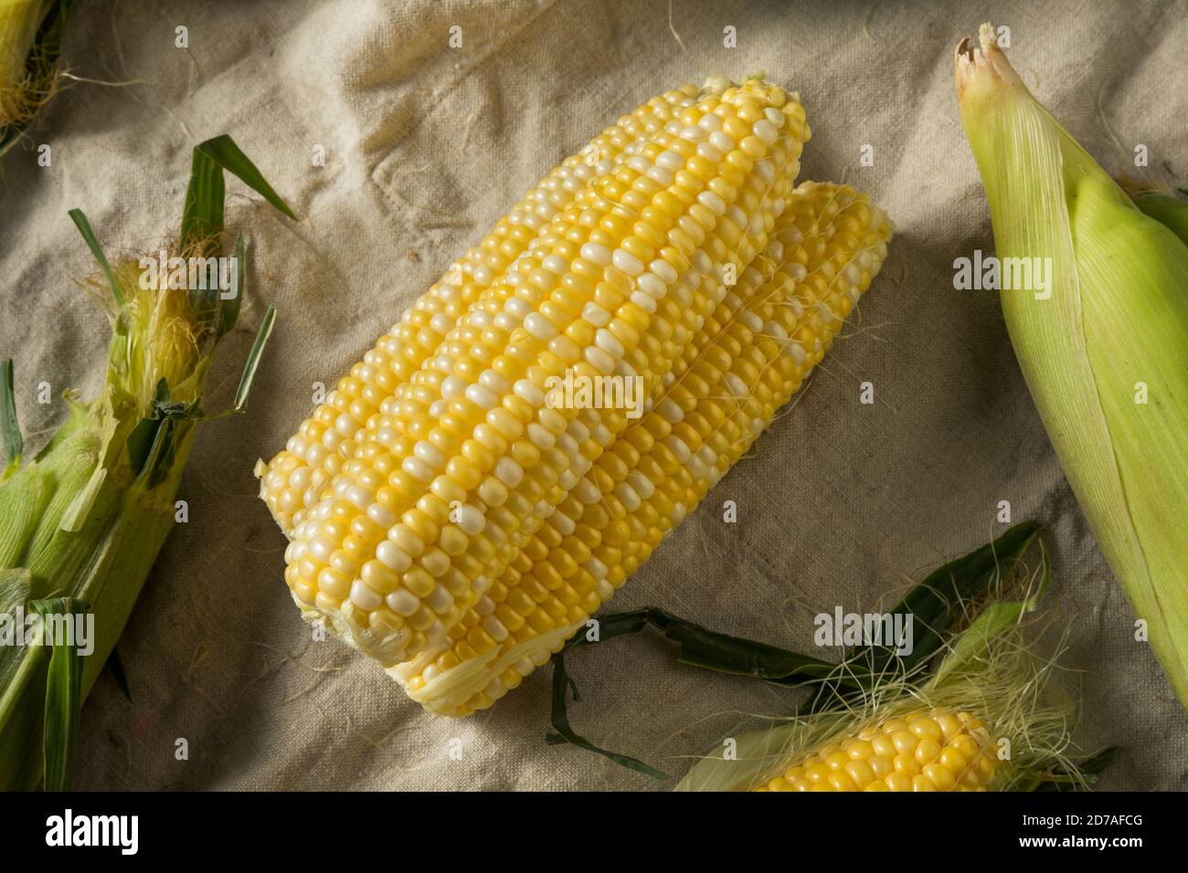 Raw Organic Sweet Corn on the Cob Ready to Cook Stock Photo - Alamy