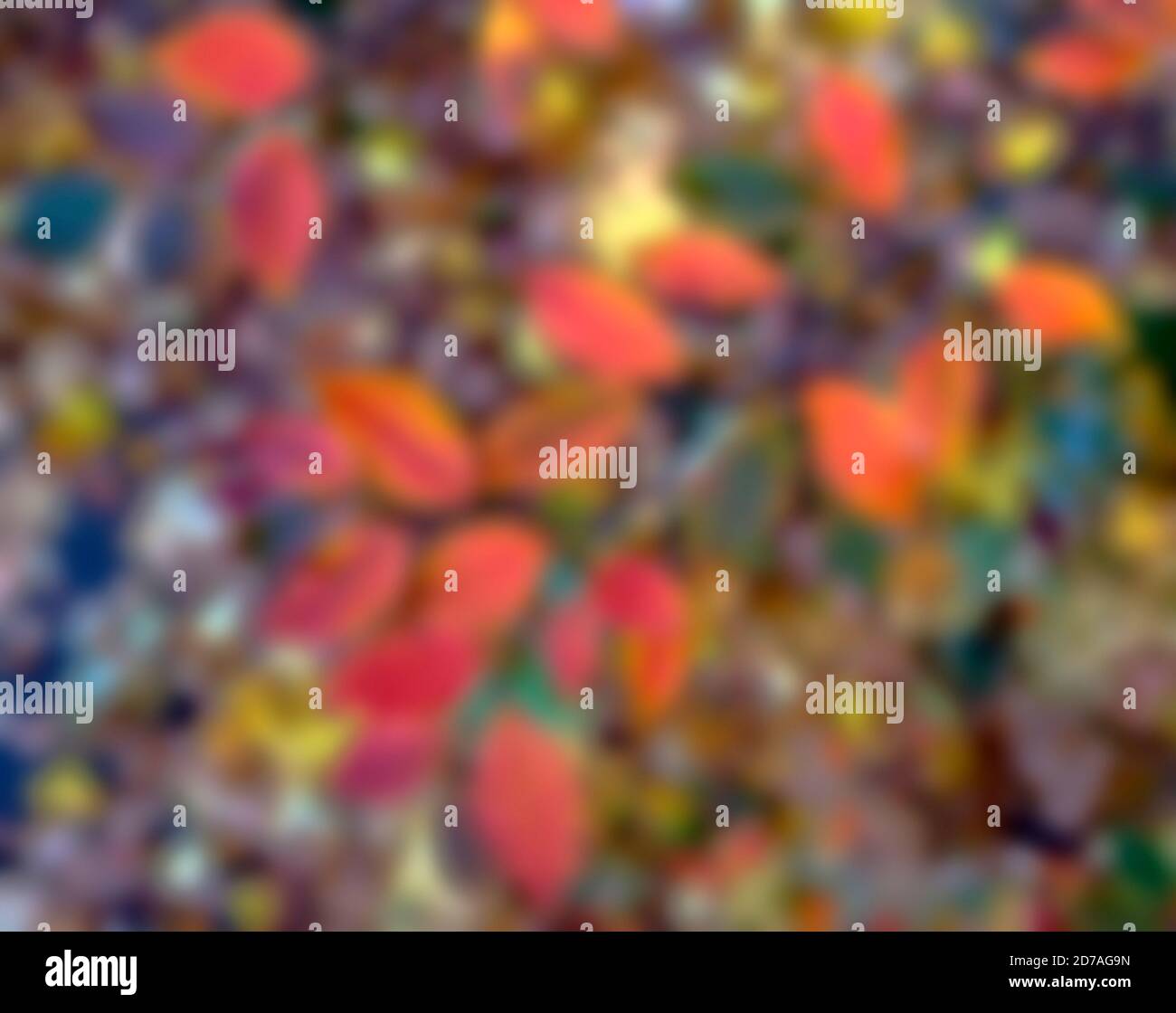 autumn leaf is blurred Stock Photo - Alamy