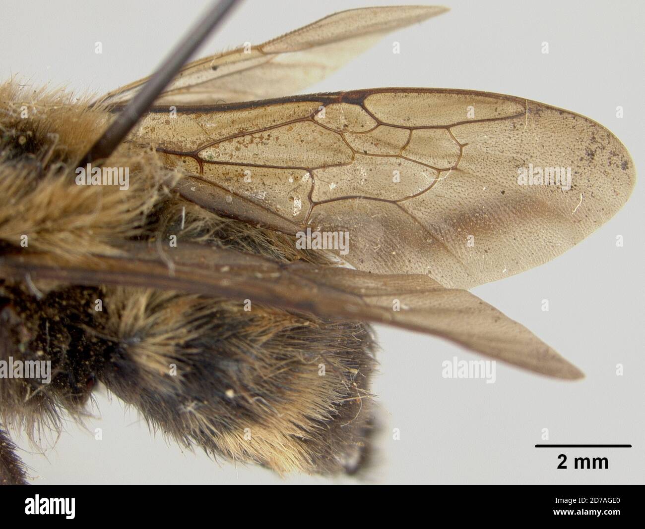 Guatemala alt 3000 ft hi-res stock photography and images - Alamy