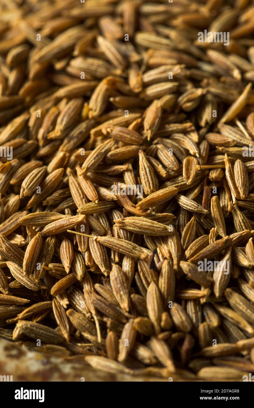 Raw Brown Organic Cumin Seed in a Bowl Stock Photo - Alamy