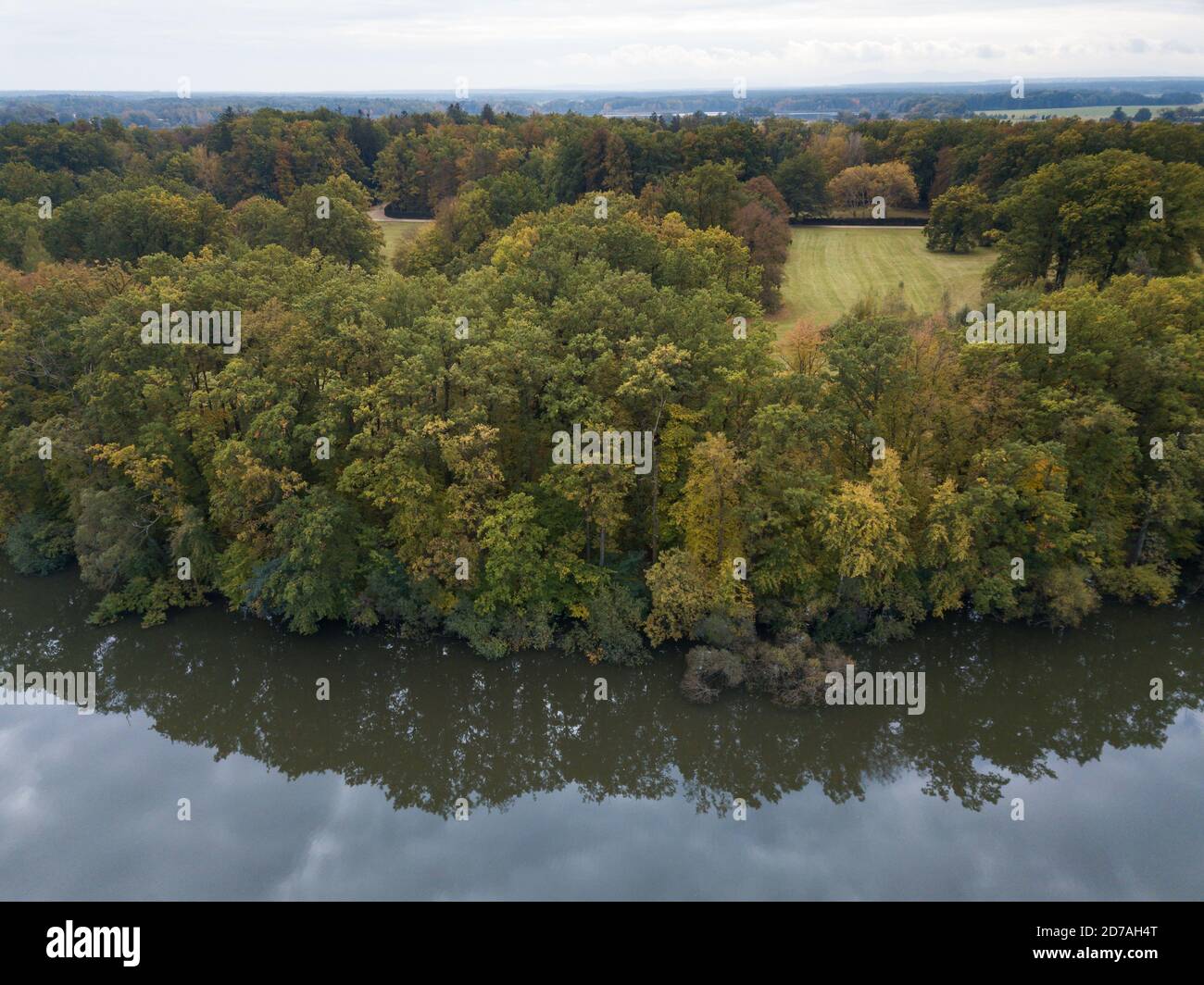 aerial top view of summer park landscape with green trees, lawns and ...
