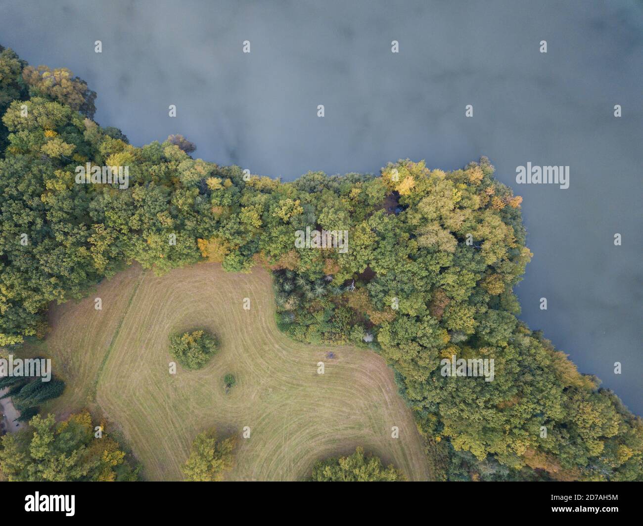 aerial top view of summer park landscape with green trees, lawns and ...