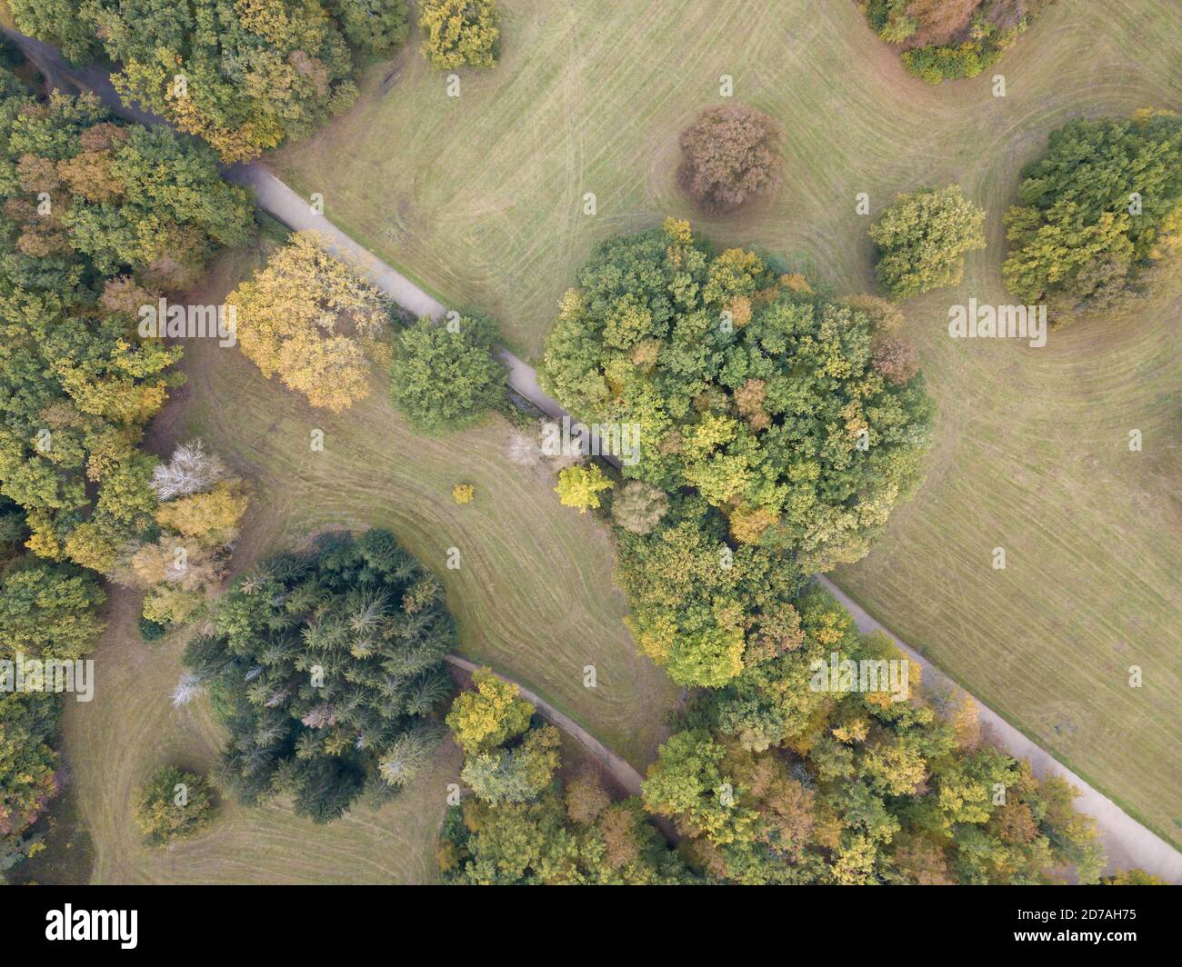 aerial top view of summer park landscape with green trees, lawns and ...
