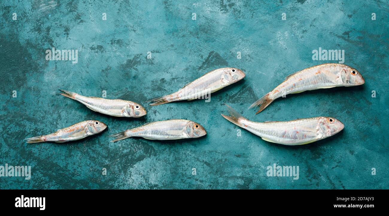 Fresh red mullet. Sultan fish on a blue background Stock Photo - Alamy