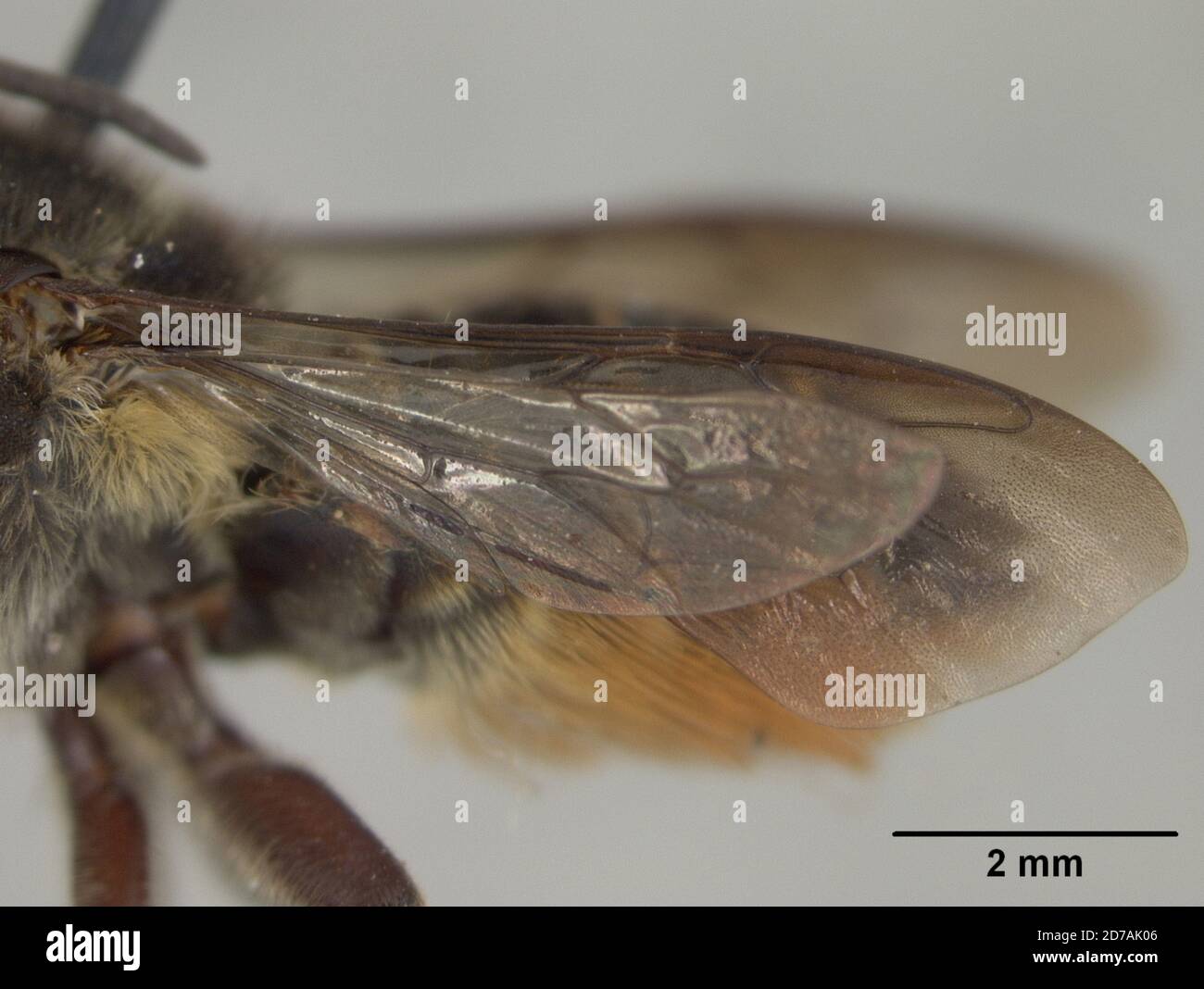 Guadalcanar i solomon is hi-res stock photography and images - Alamy