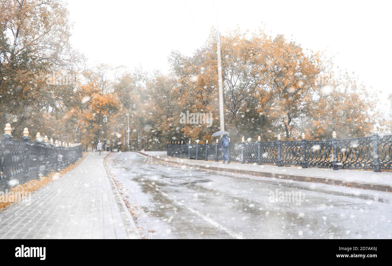 Autumn park in the first snow Stock Photo - Alamy