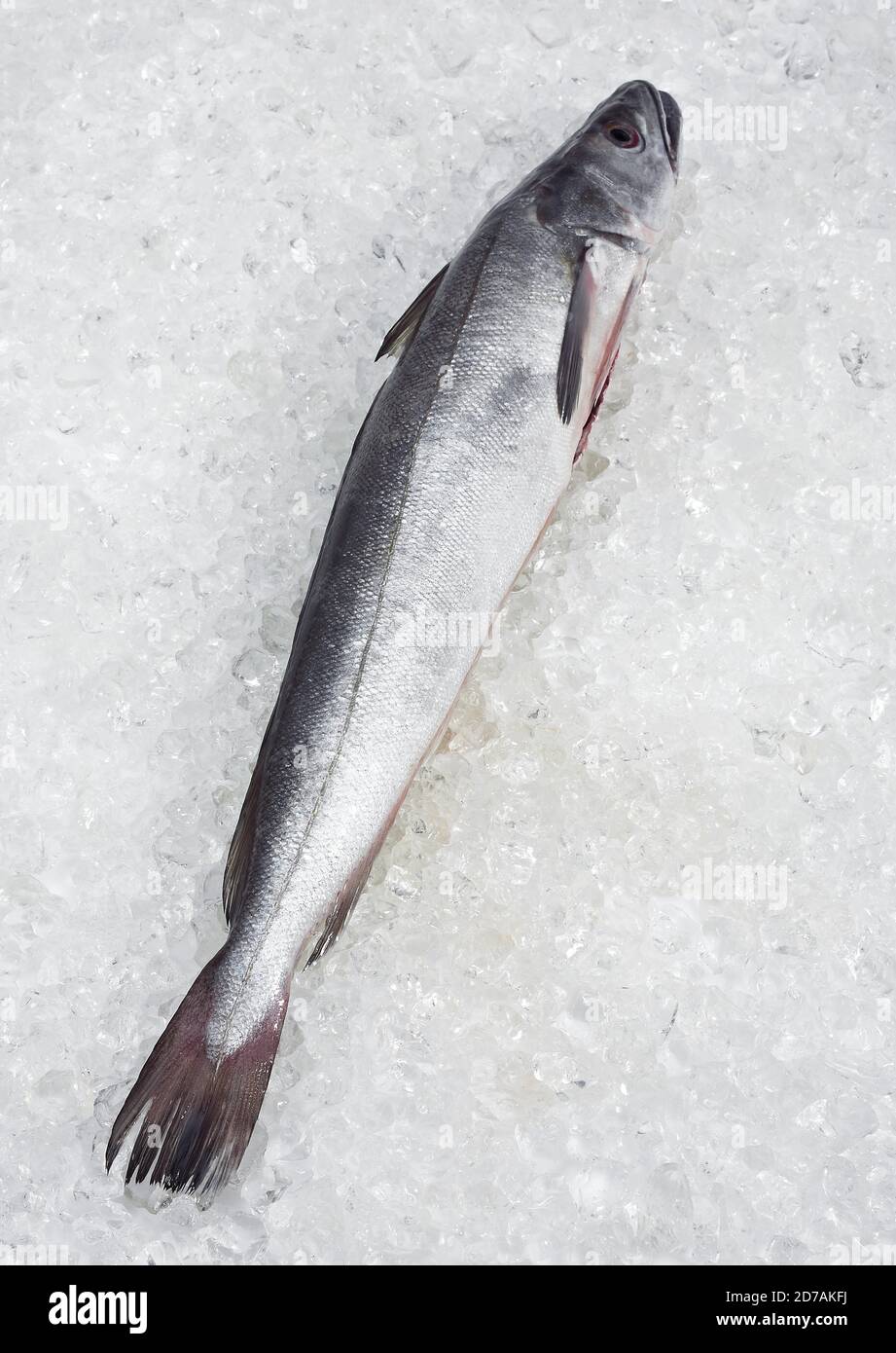 Hake cut out hi-res stock photography and images - Alamy