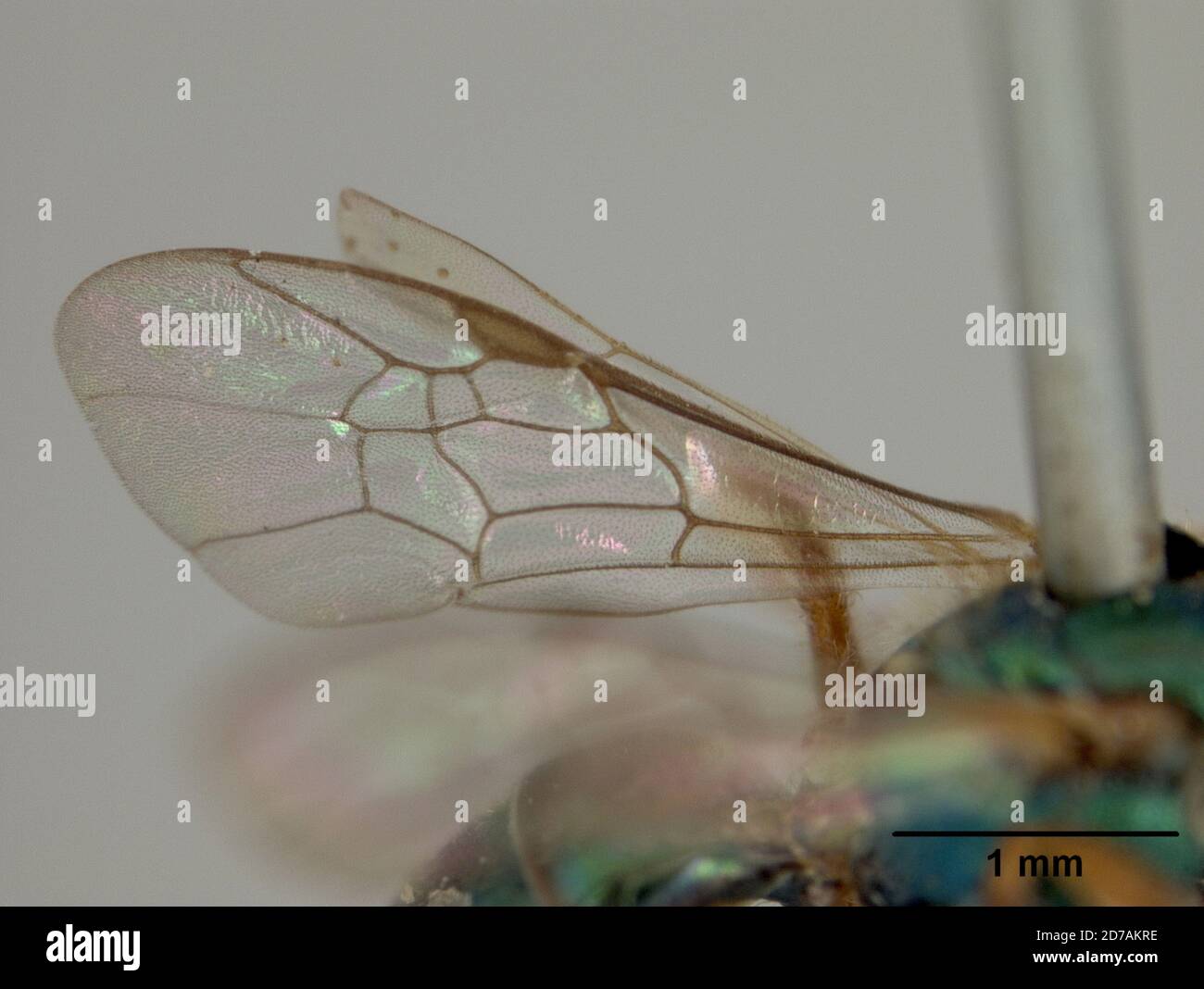 Llave cruz hi-res stock photography and images - Alamy