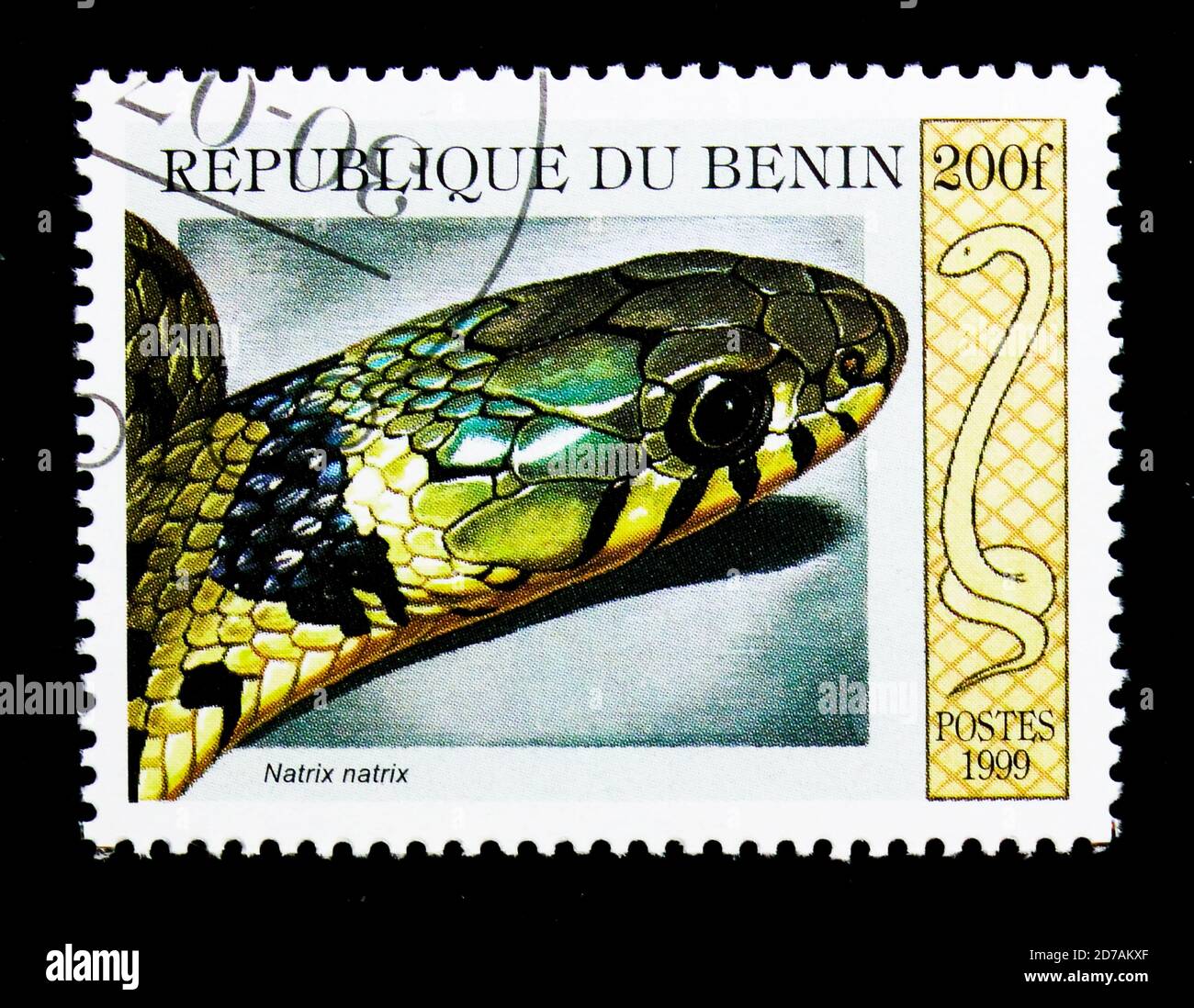 Grass snake natrix natrix series hi-res stock photography and images ...