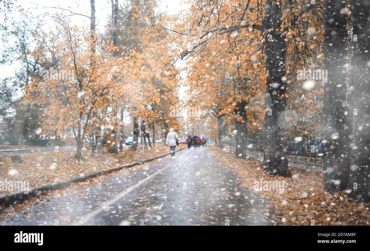 Autumn park in the first snow Stock Photo - Alamy
