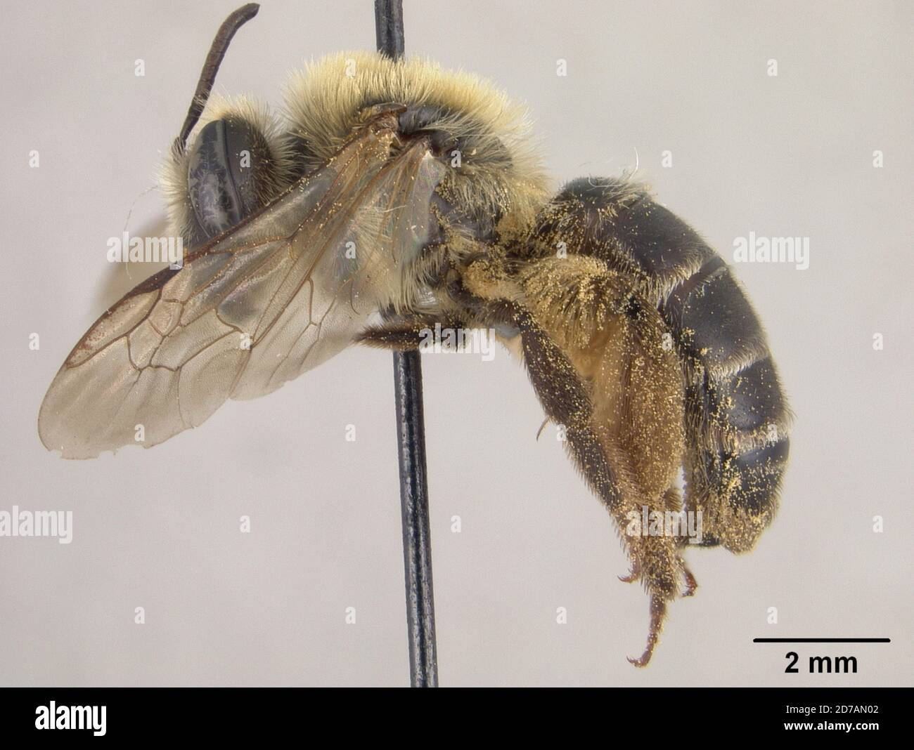 Pinned, The Cliffs State Park, Wayne, North Carolina, United States ...