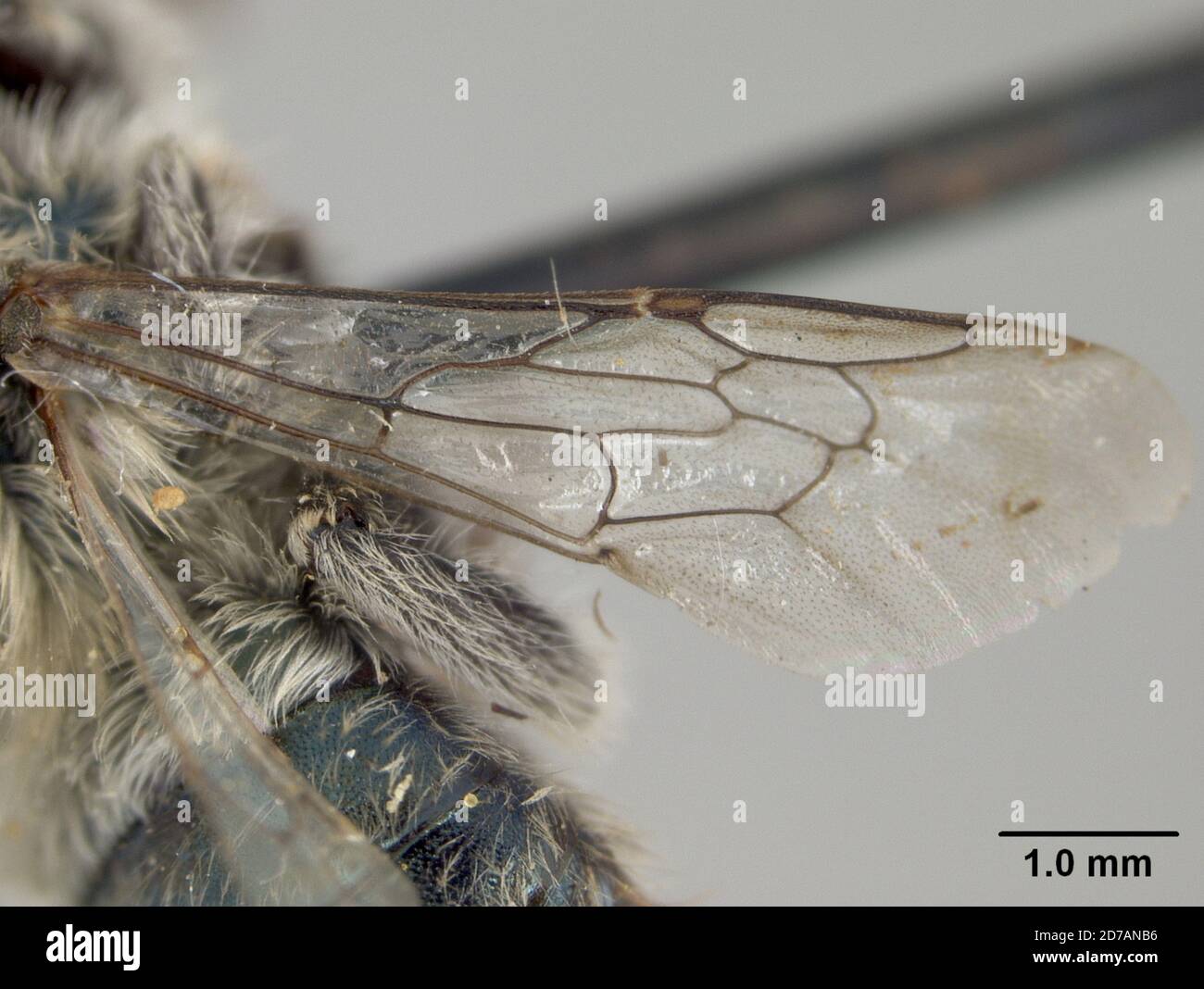 Hicksi sandhouse hi-res stock photography and images - Alamy