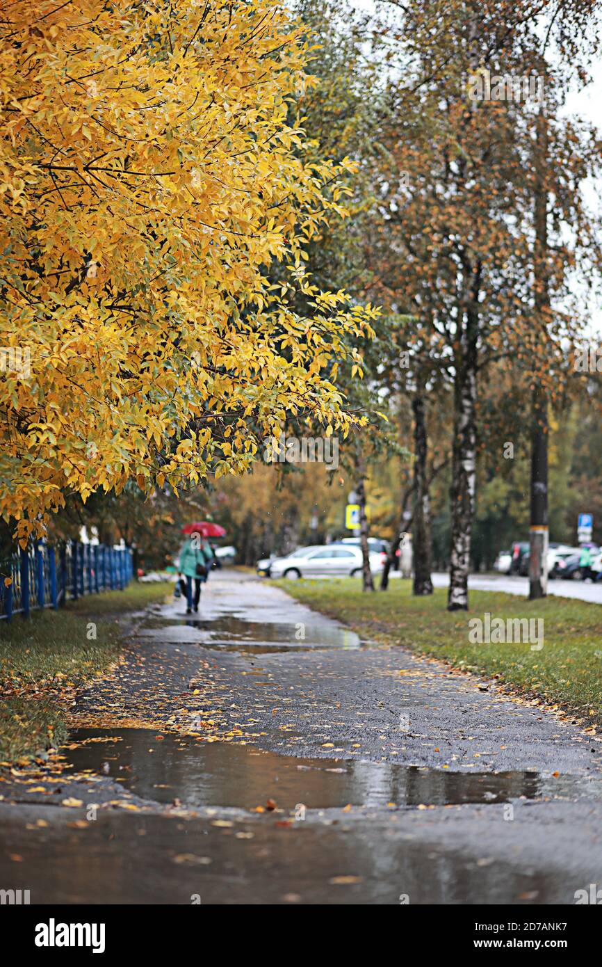 Autumn rain in the park Stock Photo - Alamy