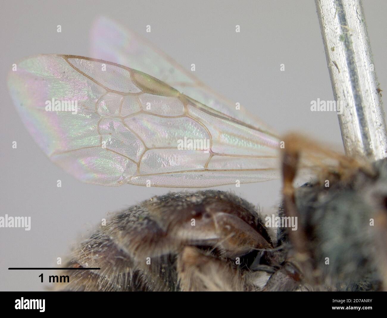 Impavidus sandhouse hi-res stock photography and images - Alamy