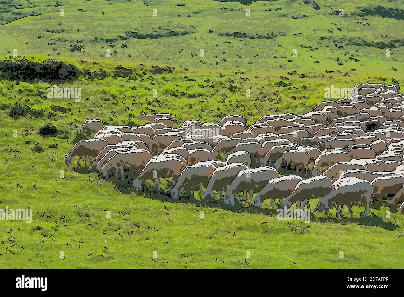 graphic illustration of a flock of sheep grazing Stock Photo - Alamy