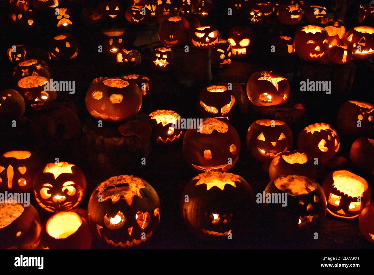 Jack-o'-lantern scared evil spirits Irish set carved pumpkins or ...