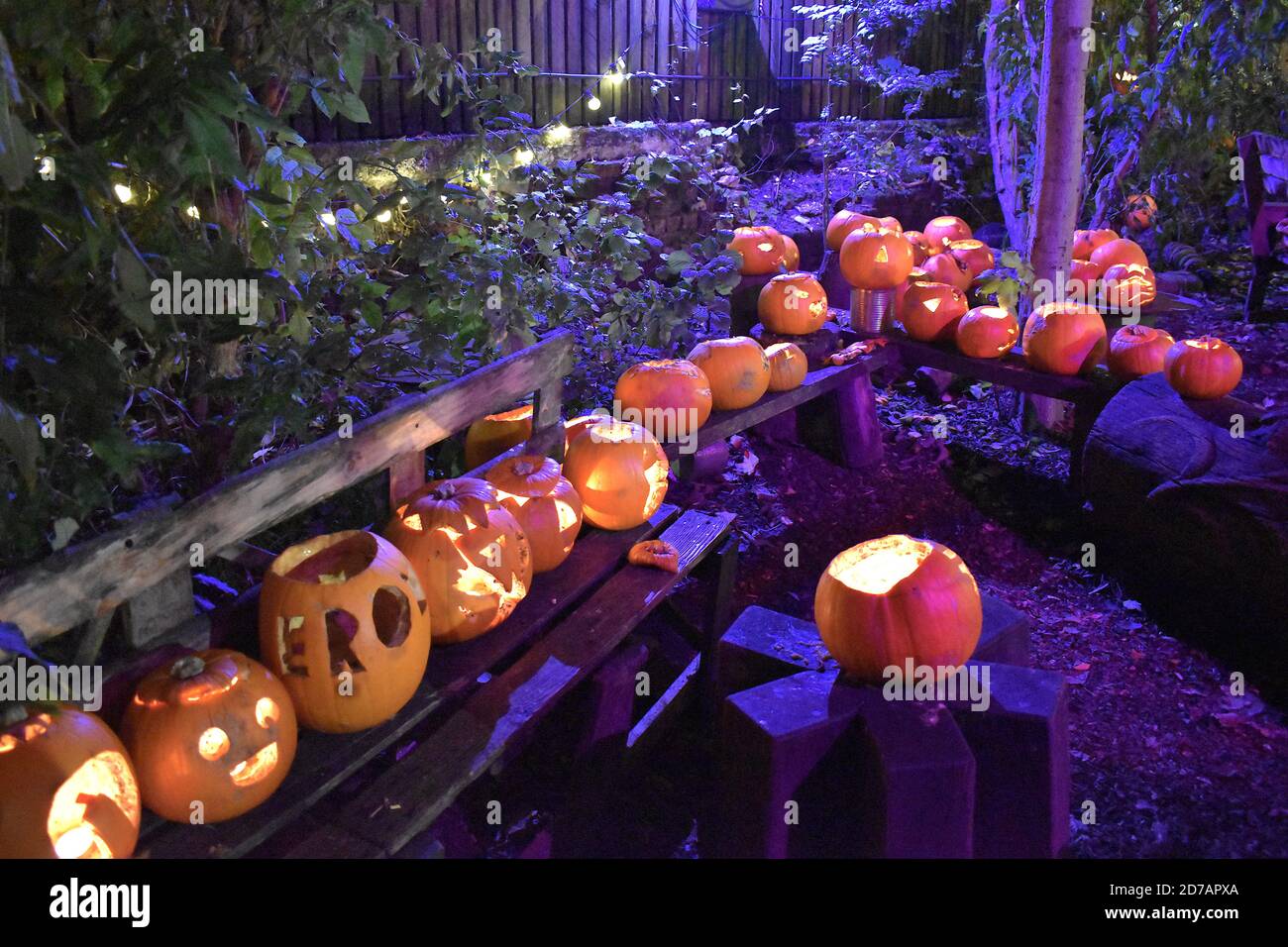 Jack o lanterns turnips hi-res stock photography and images - Alamy