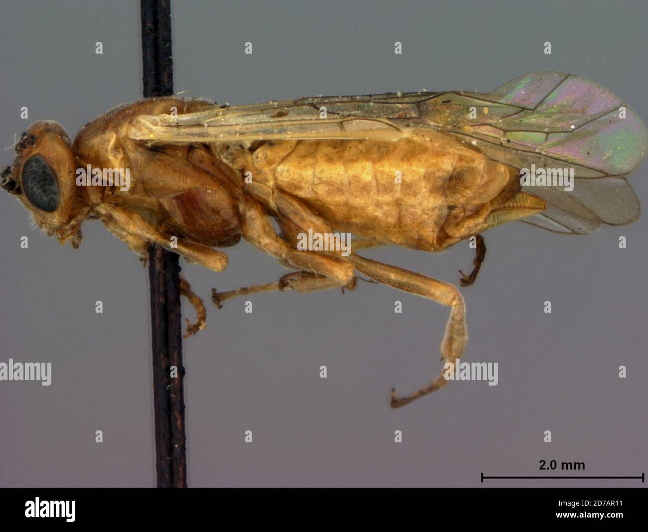 Oxbow saskatchewan hi-res stock photography and images - Alamy