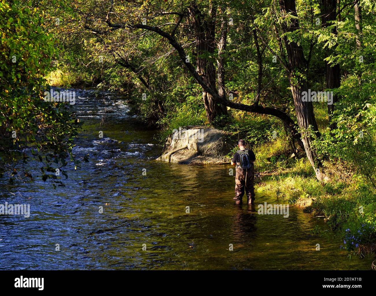 Wading a Stream in Rappahannock County, Virginia. Photo by Dennis Brack ...