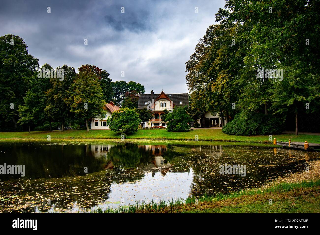 Rural buildings by a reflective pond with fallen autumn foliage on the water surface in ...