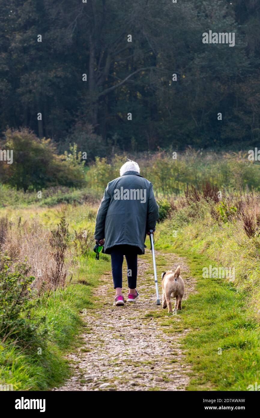 Old lady walking dog hi-res stock photography and images - Alamy