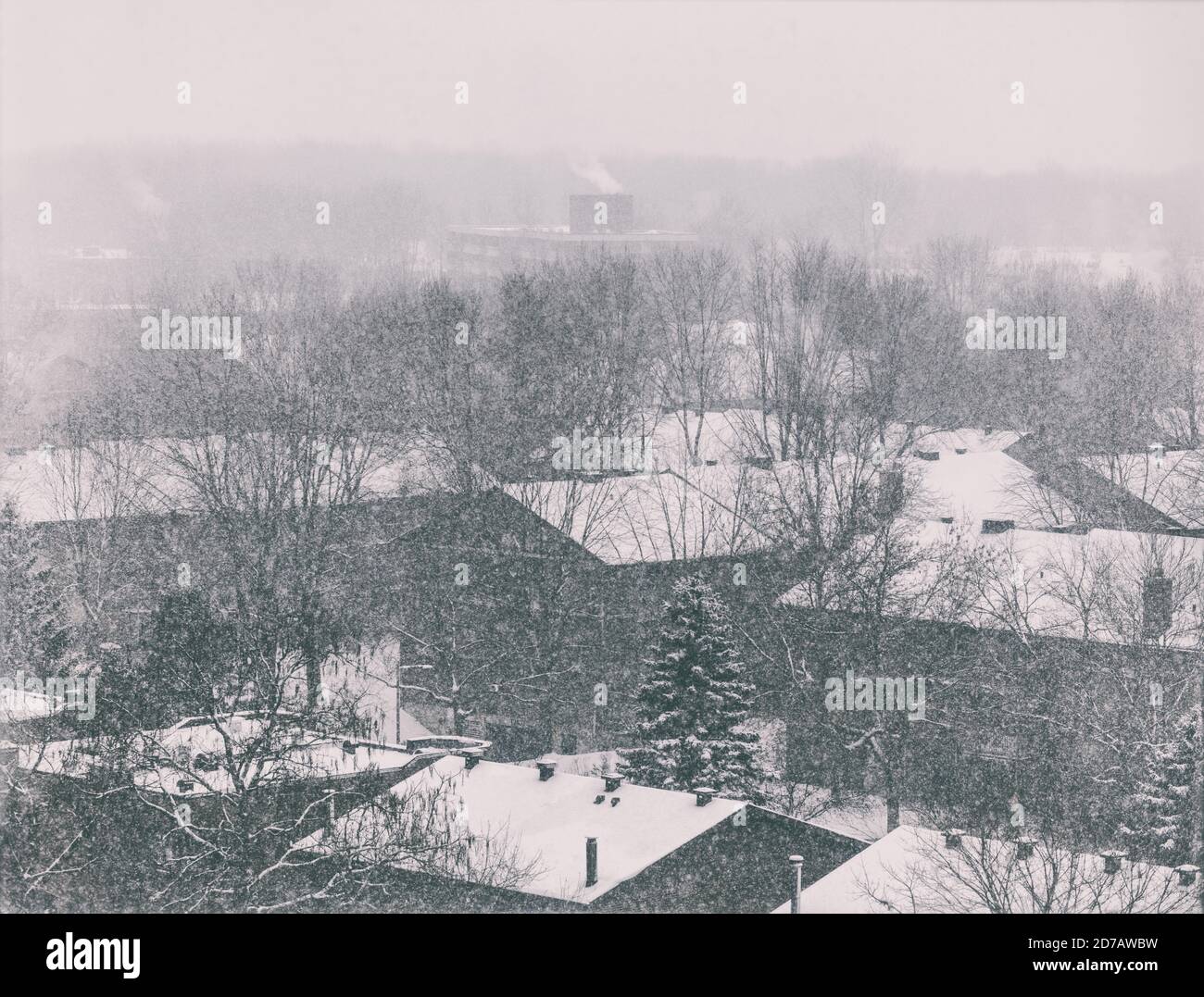 Winter snowstorm blizzard snow storm scenery. Snowfall on city ...