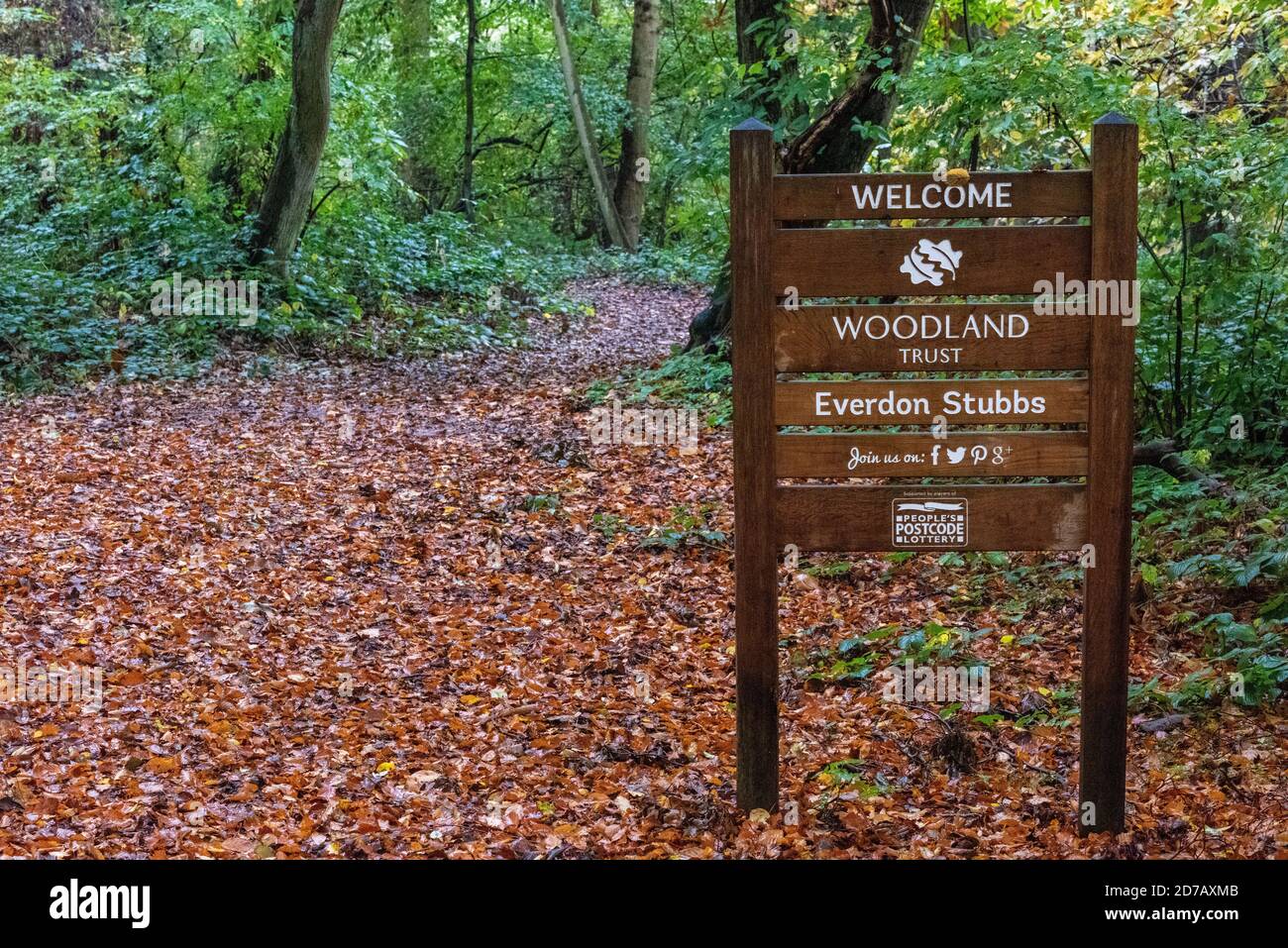 Stubbs wood hi-res stock photography and images - Alamy