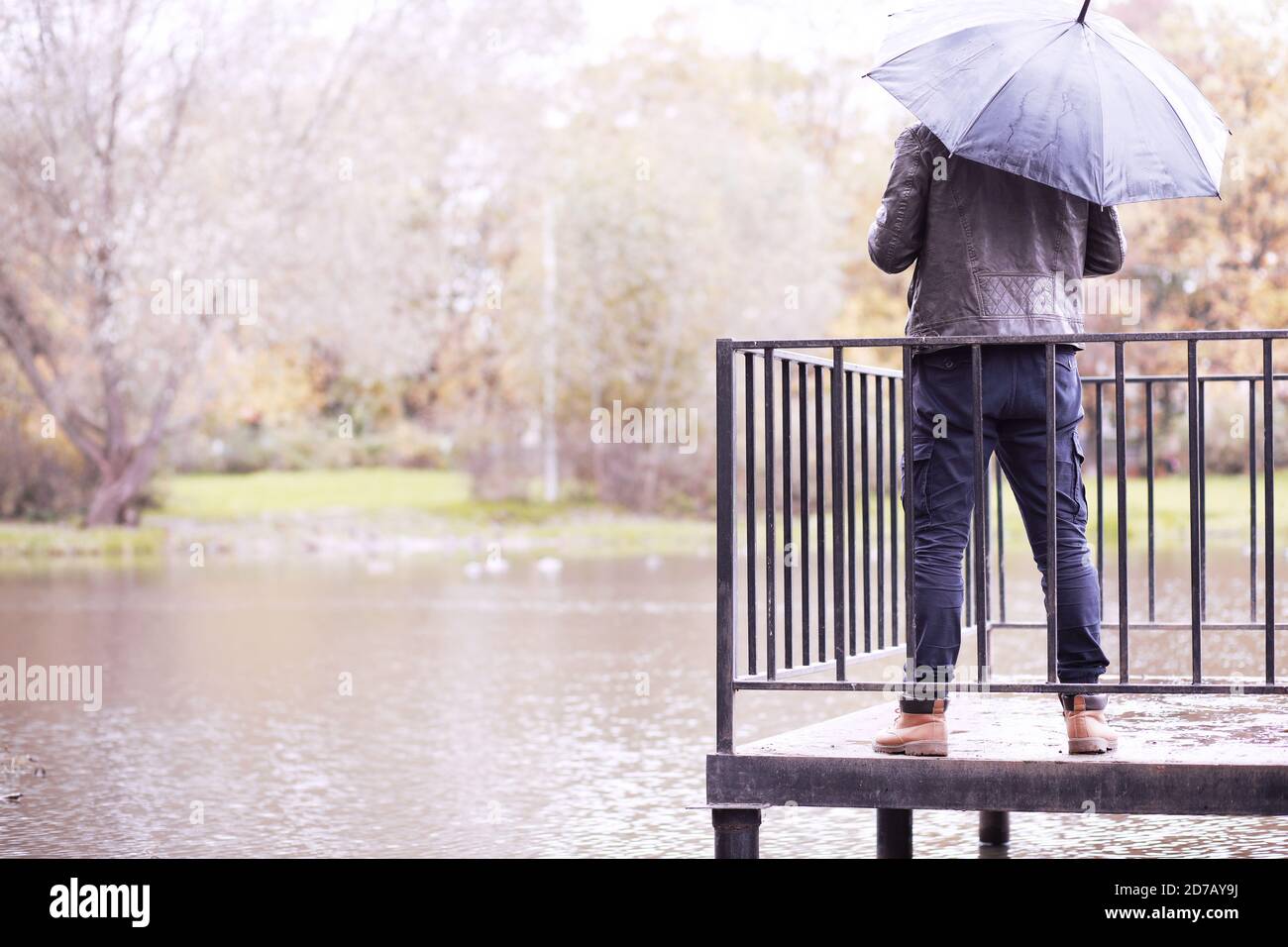 Autumn rainy park in October Stock Photo - Alamy