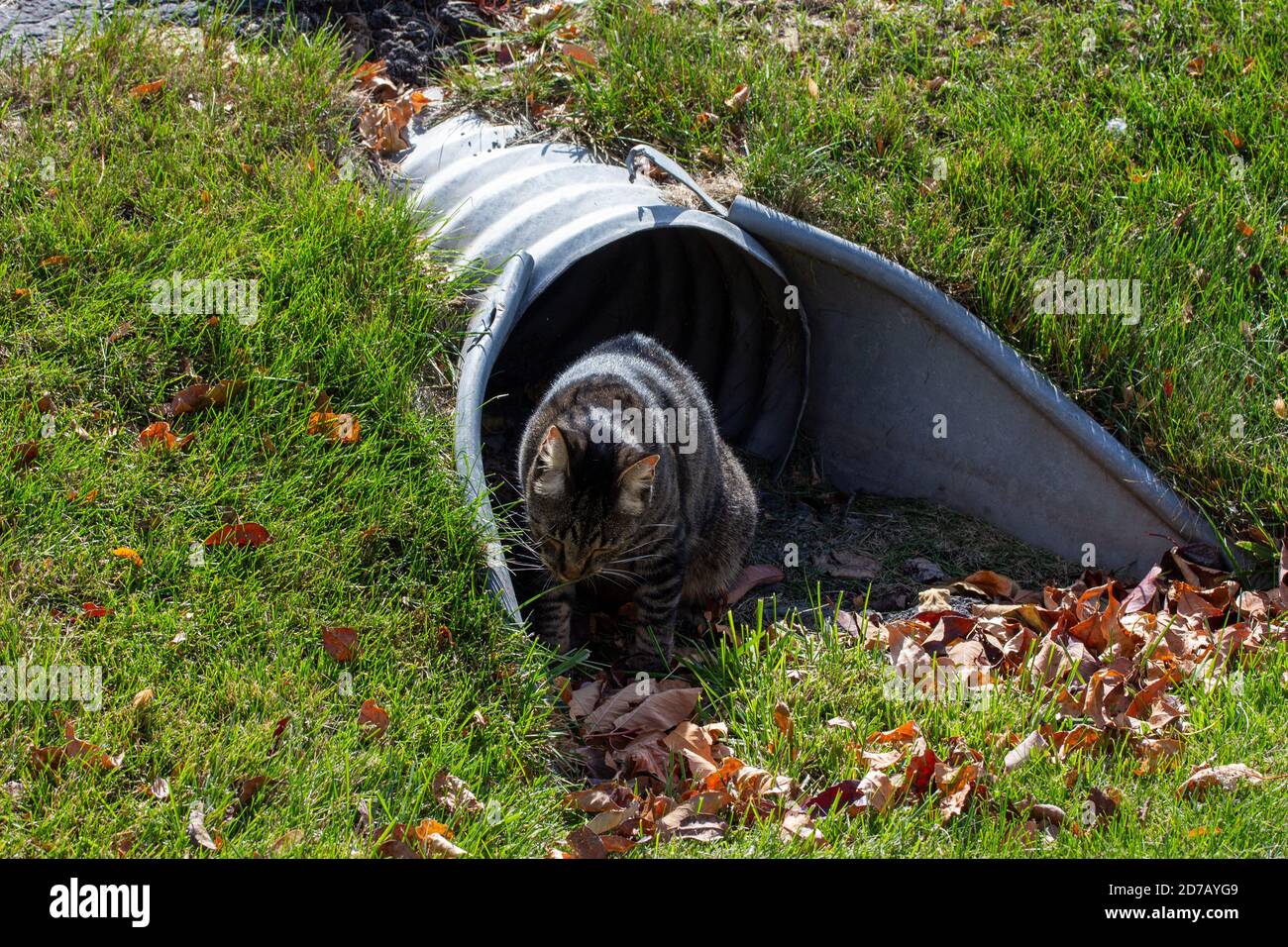 Playing in a culvert hi-res stock photography and images - Alamy